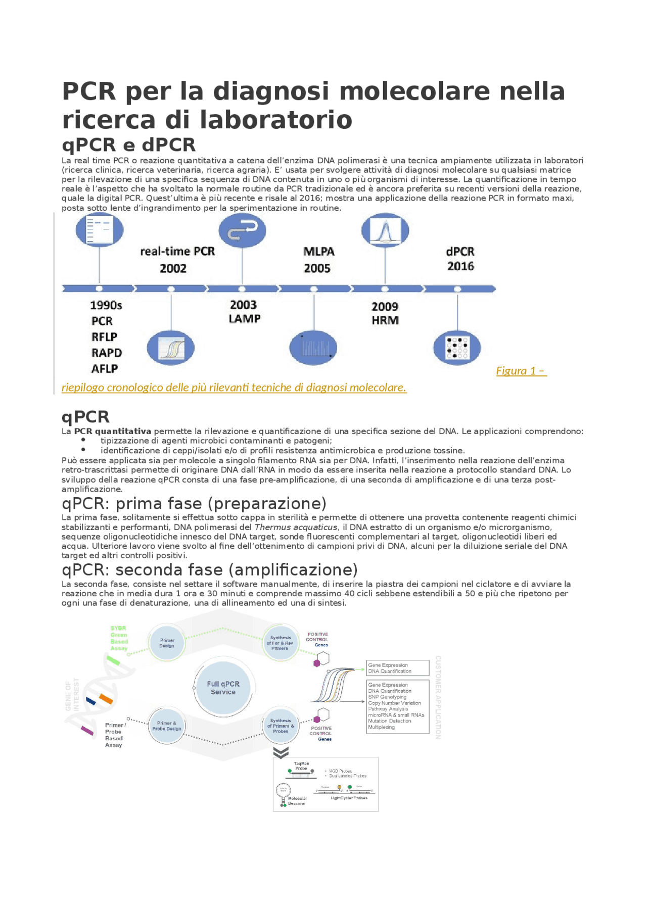 Riassunto Di Biologia Dei Microrganismi Docsity