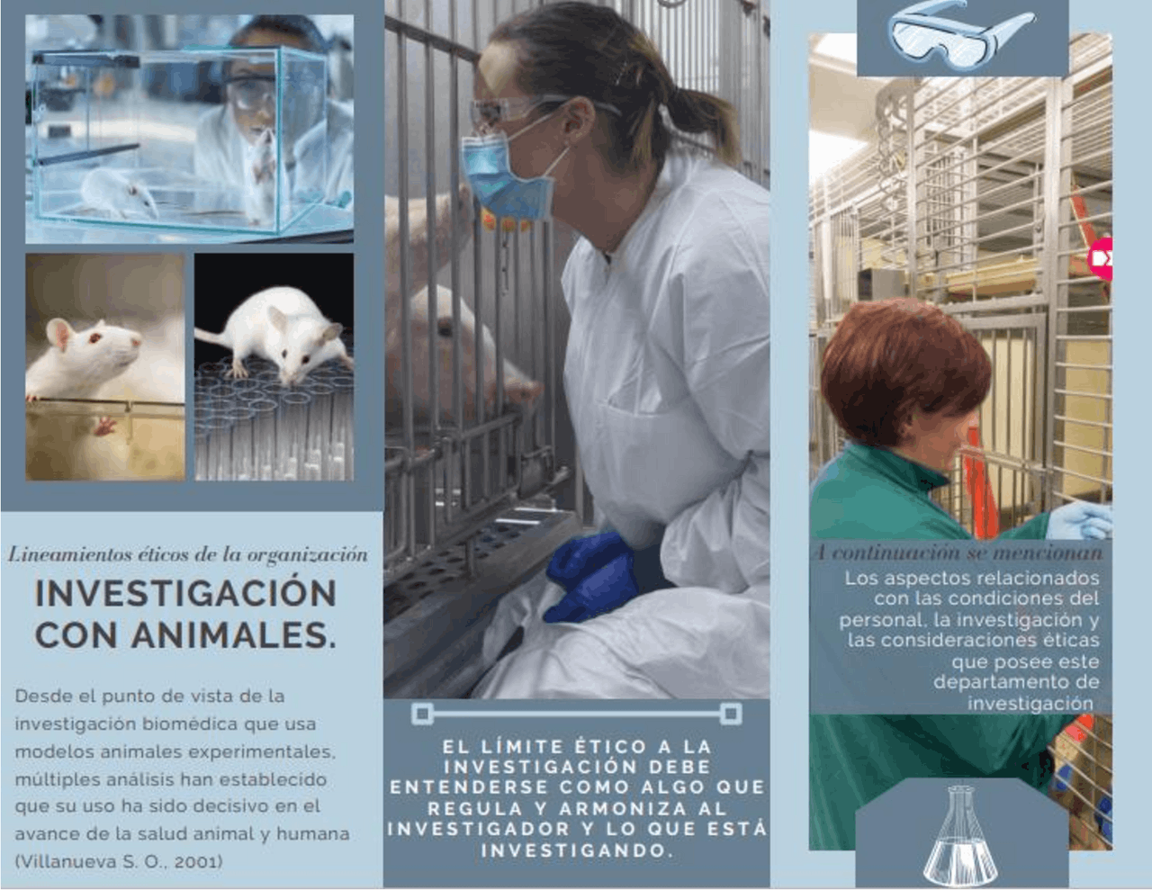 Investigación con animales - Docsity