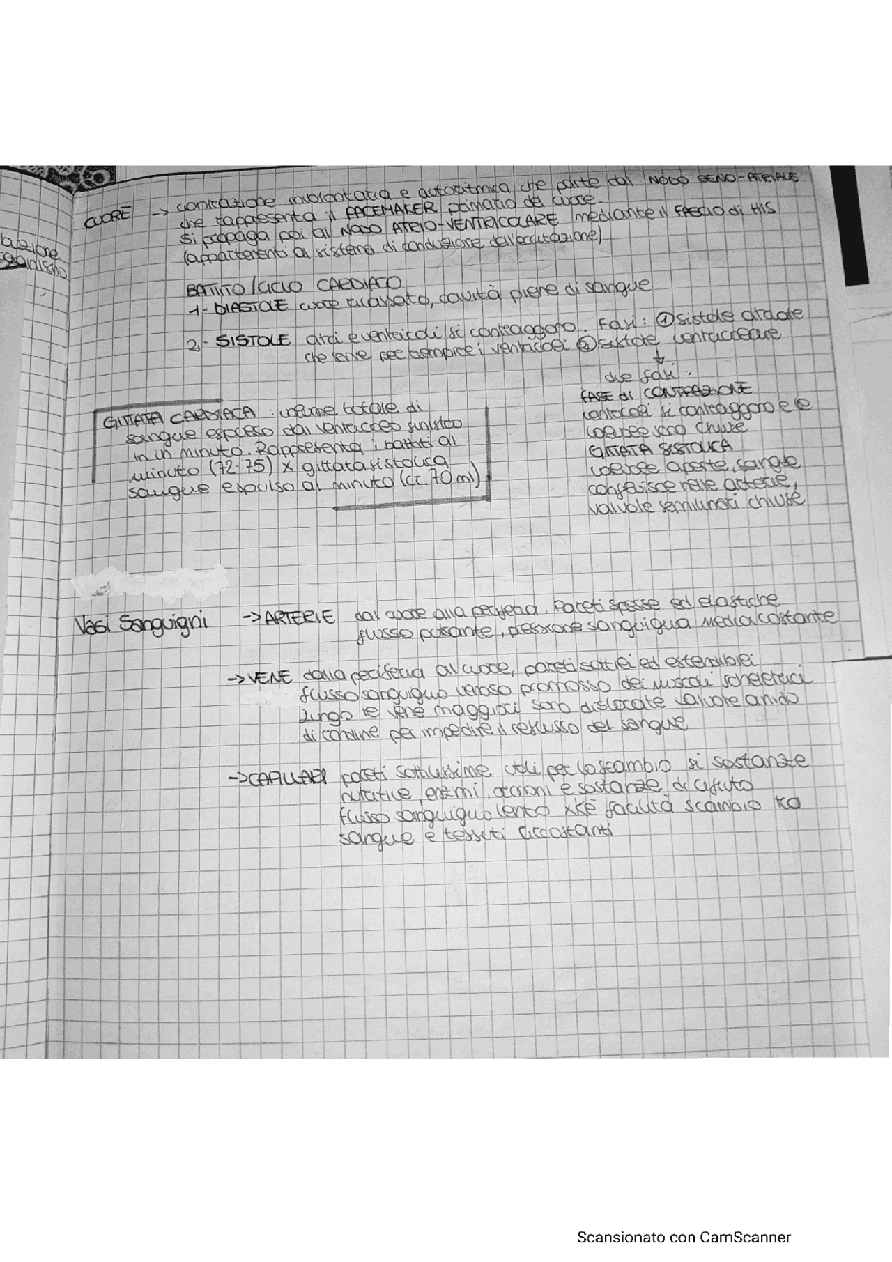 Apparato Circolatorio Docsity