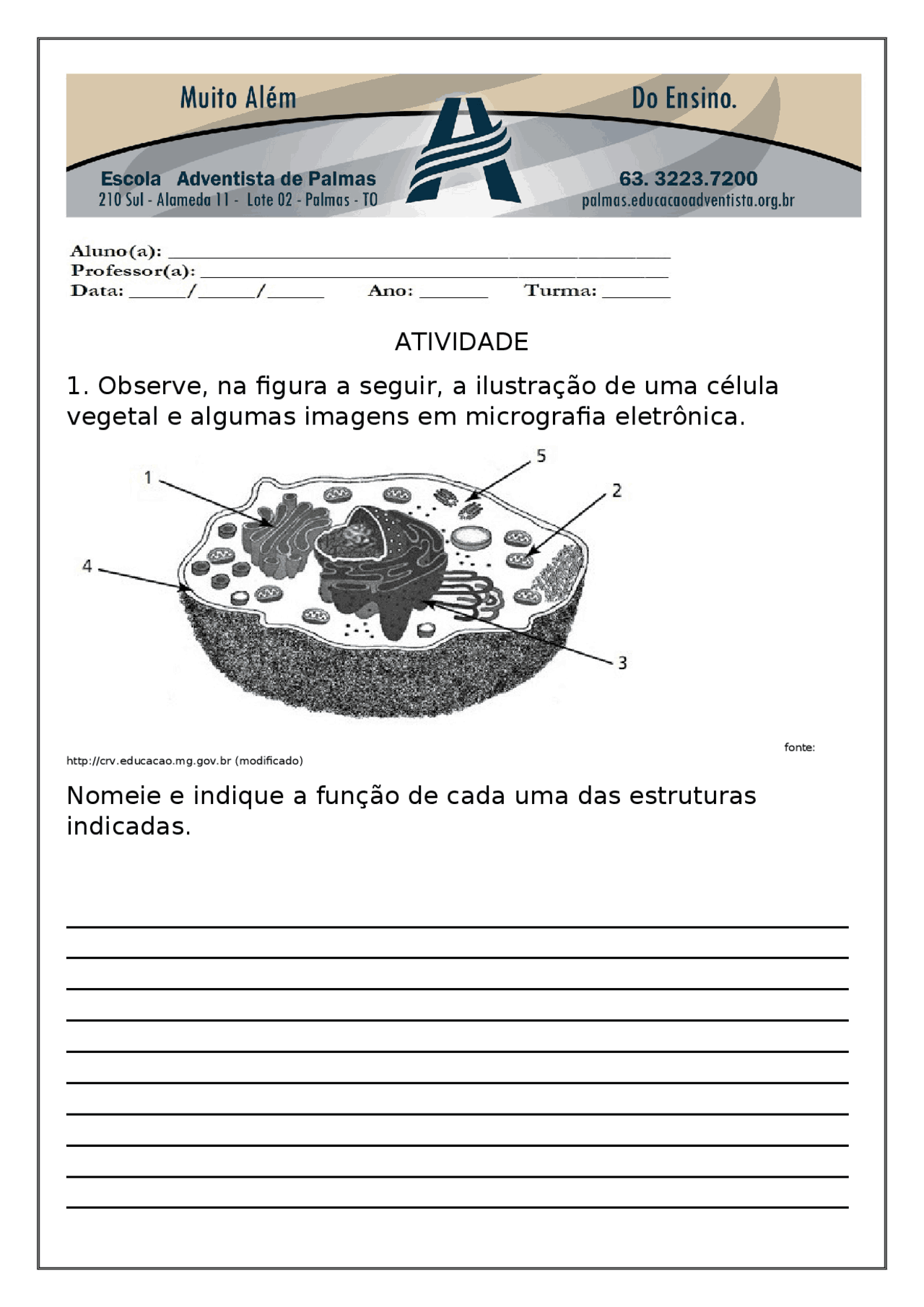Atividades Para RevisÃo RevisÃo De ConteÚdos Exercícios Biologia