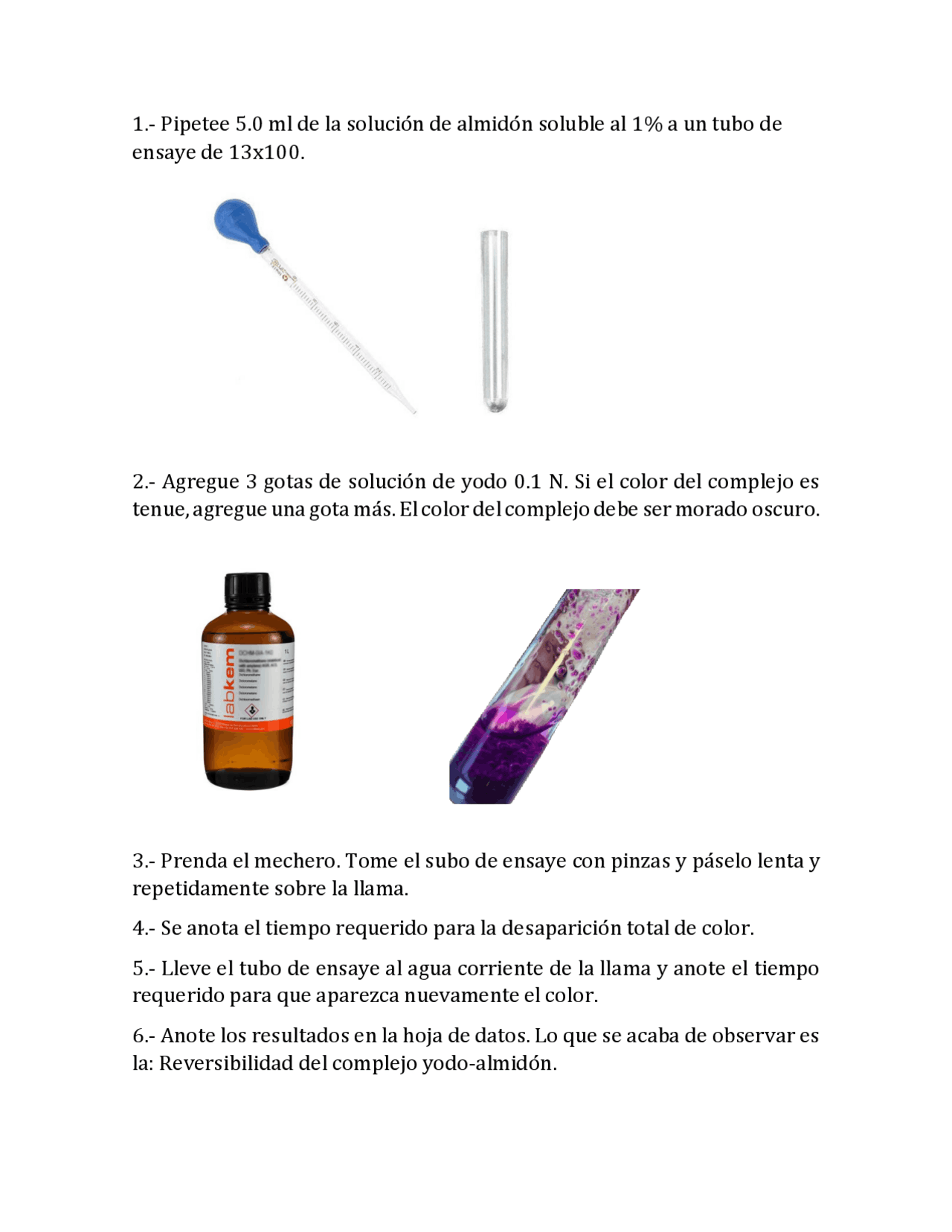 Práctica De Bioquímica Docsity