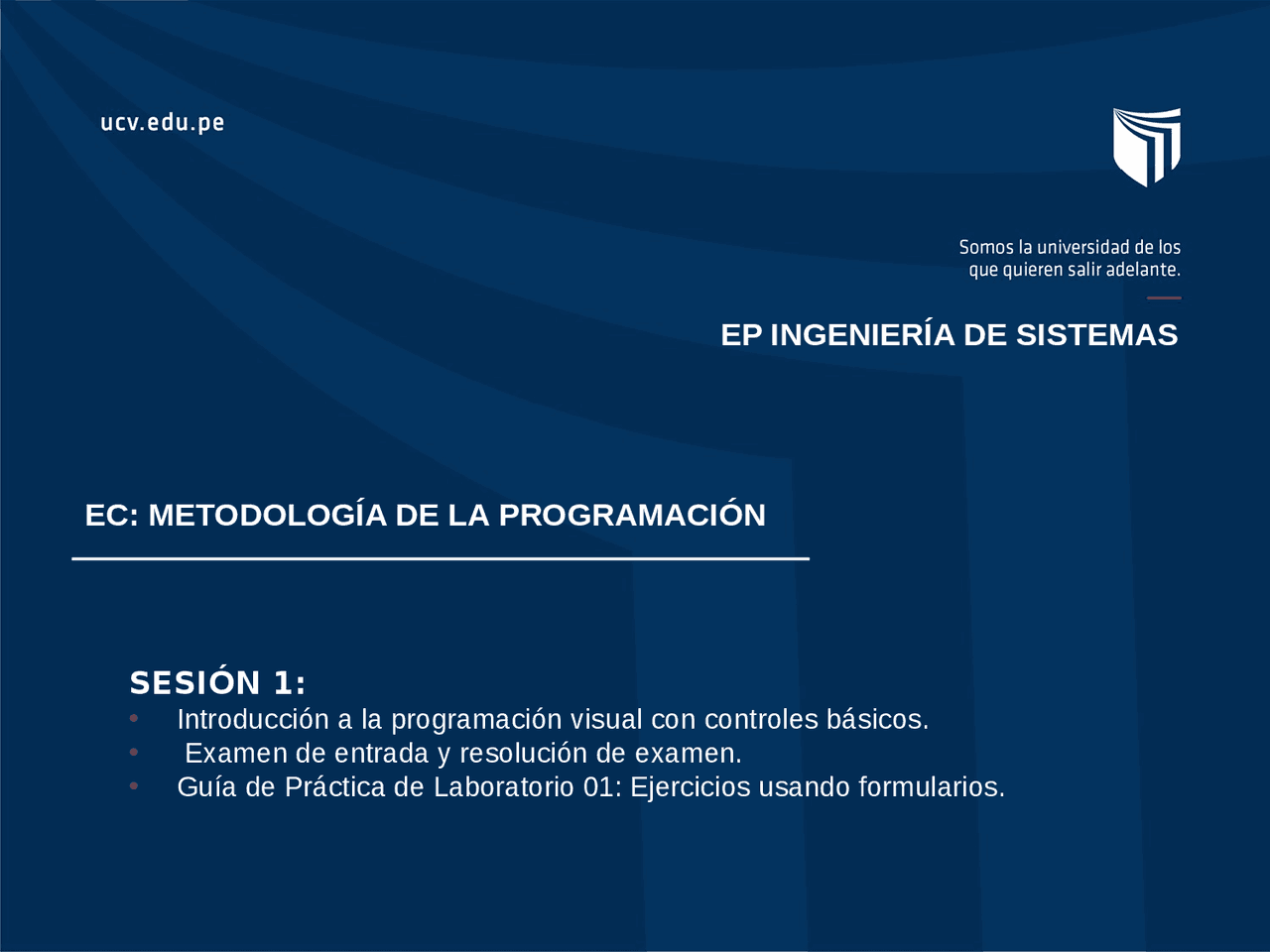 Introducción de material | Schemes and Mind Maps of Java Programming | Docsity