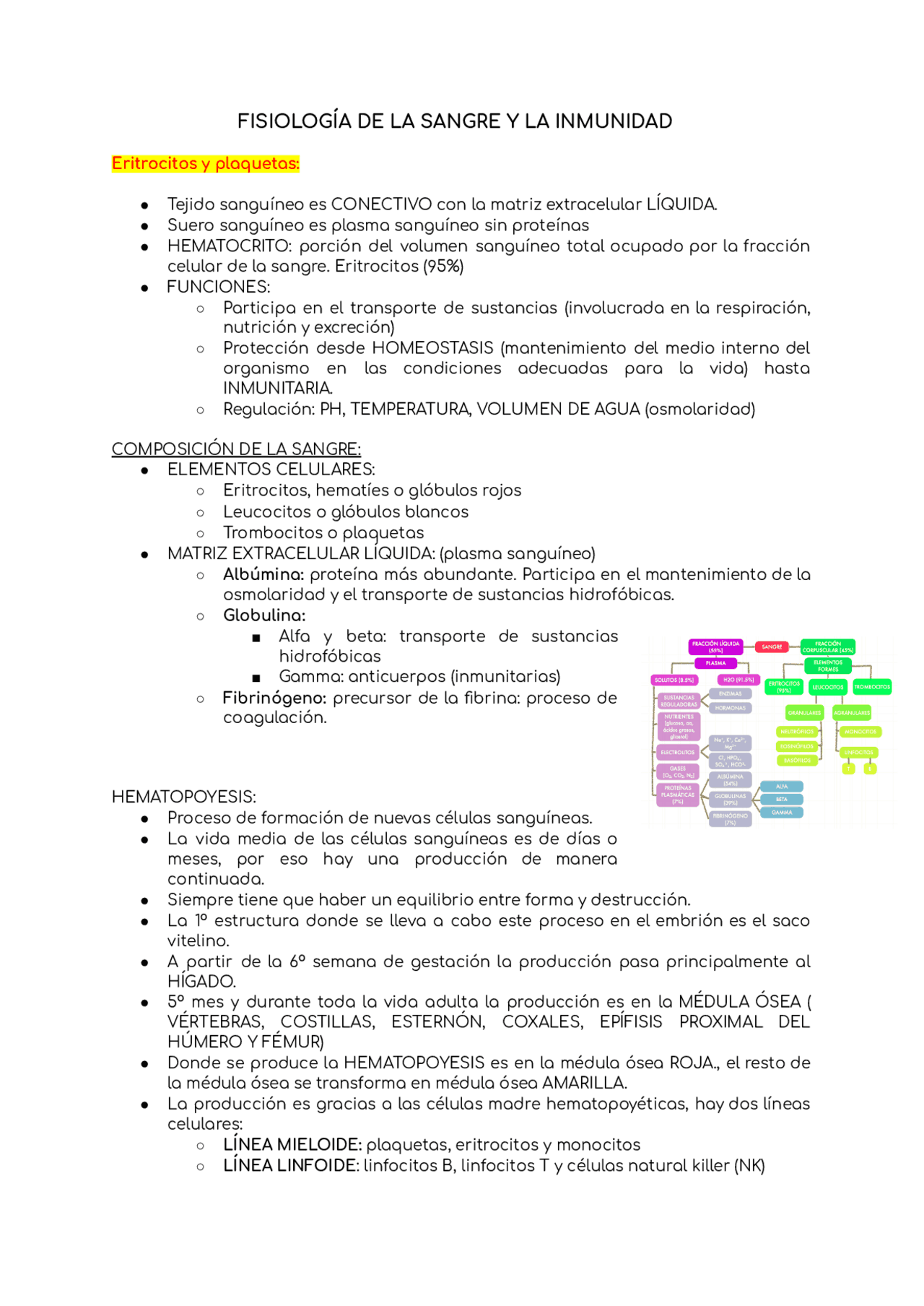 Apuntes Fisiologia Sangre Y Inmunidad Docsity