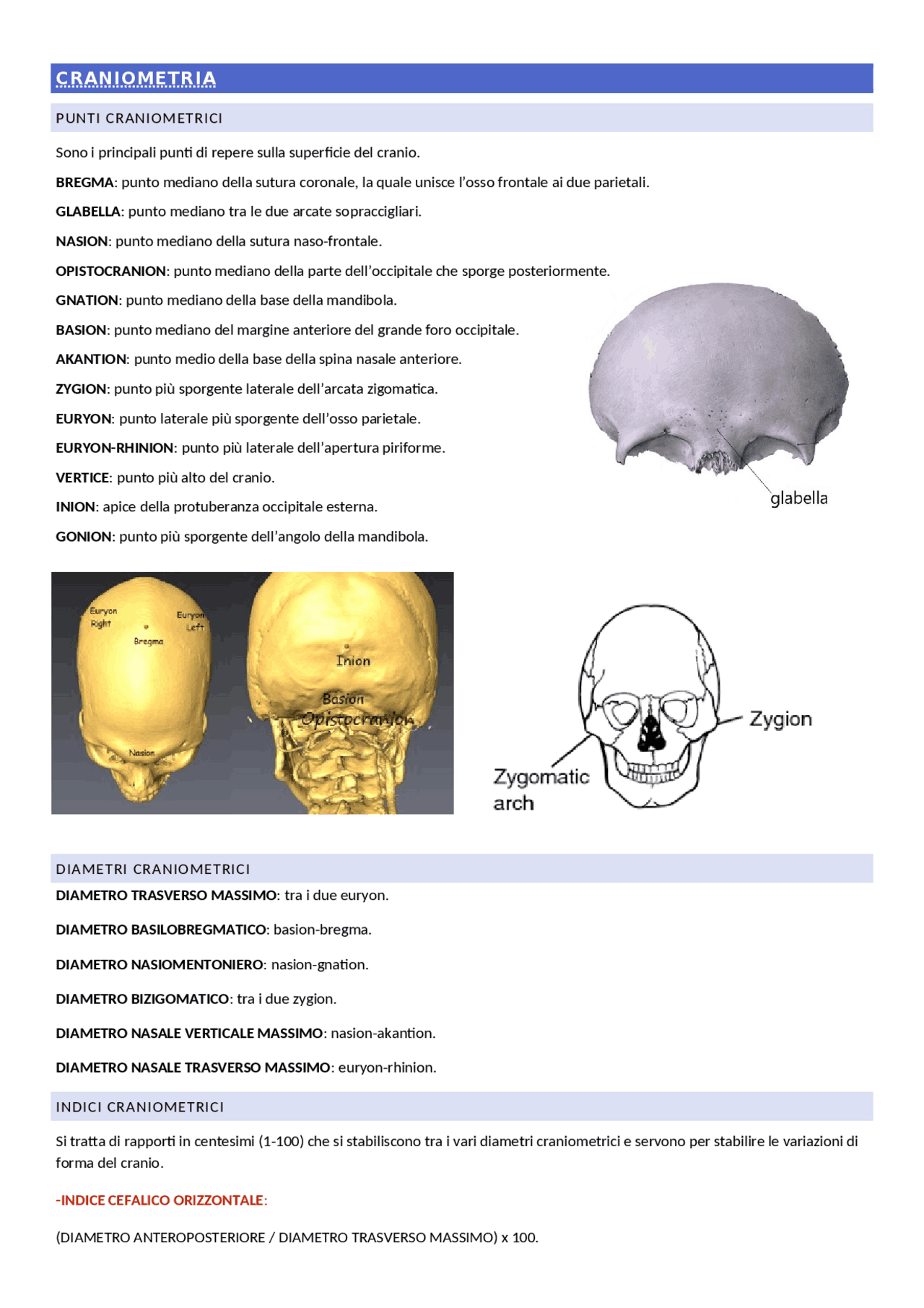 CRANIOMETRIA: PUNTI E DIAMETRI | Dispense di Anatomia I | Docsity