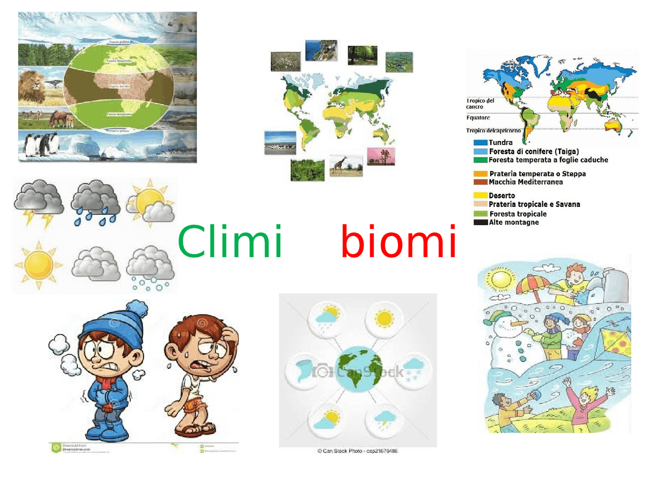 Climi E Biomi E Le Sue Caratteristiche Docsity