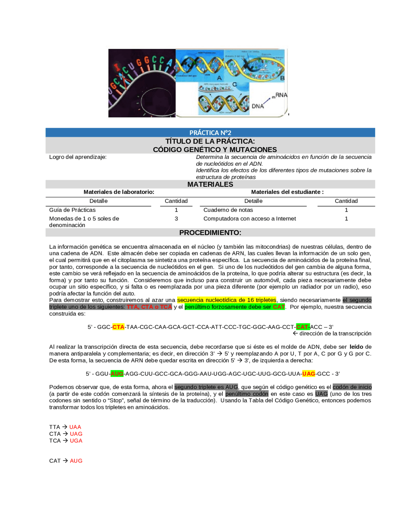 Practica 2 Codigo Genetico Y Mutaciones Ejercicios De Genética