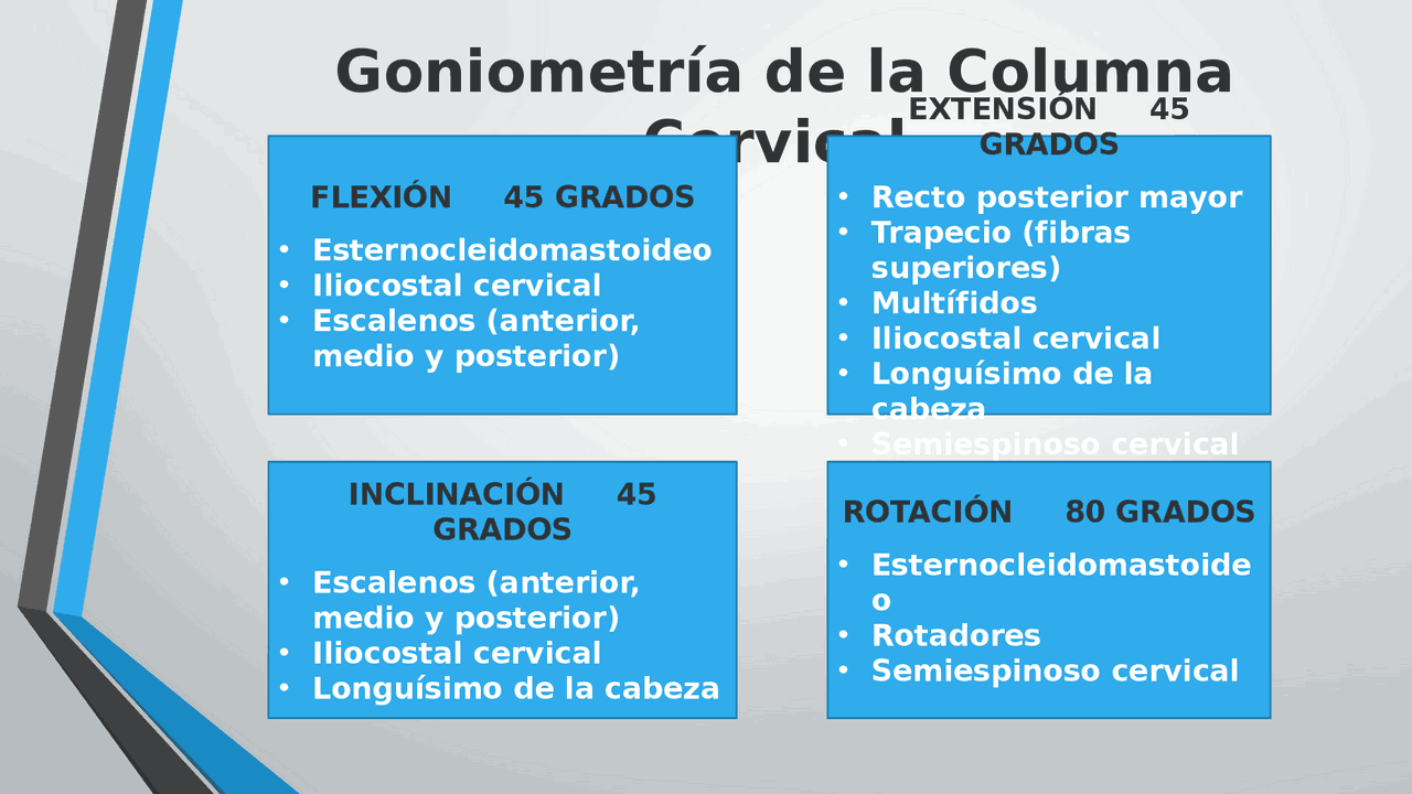 Apuntes De Fisioterapia Docsity