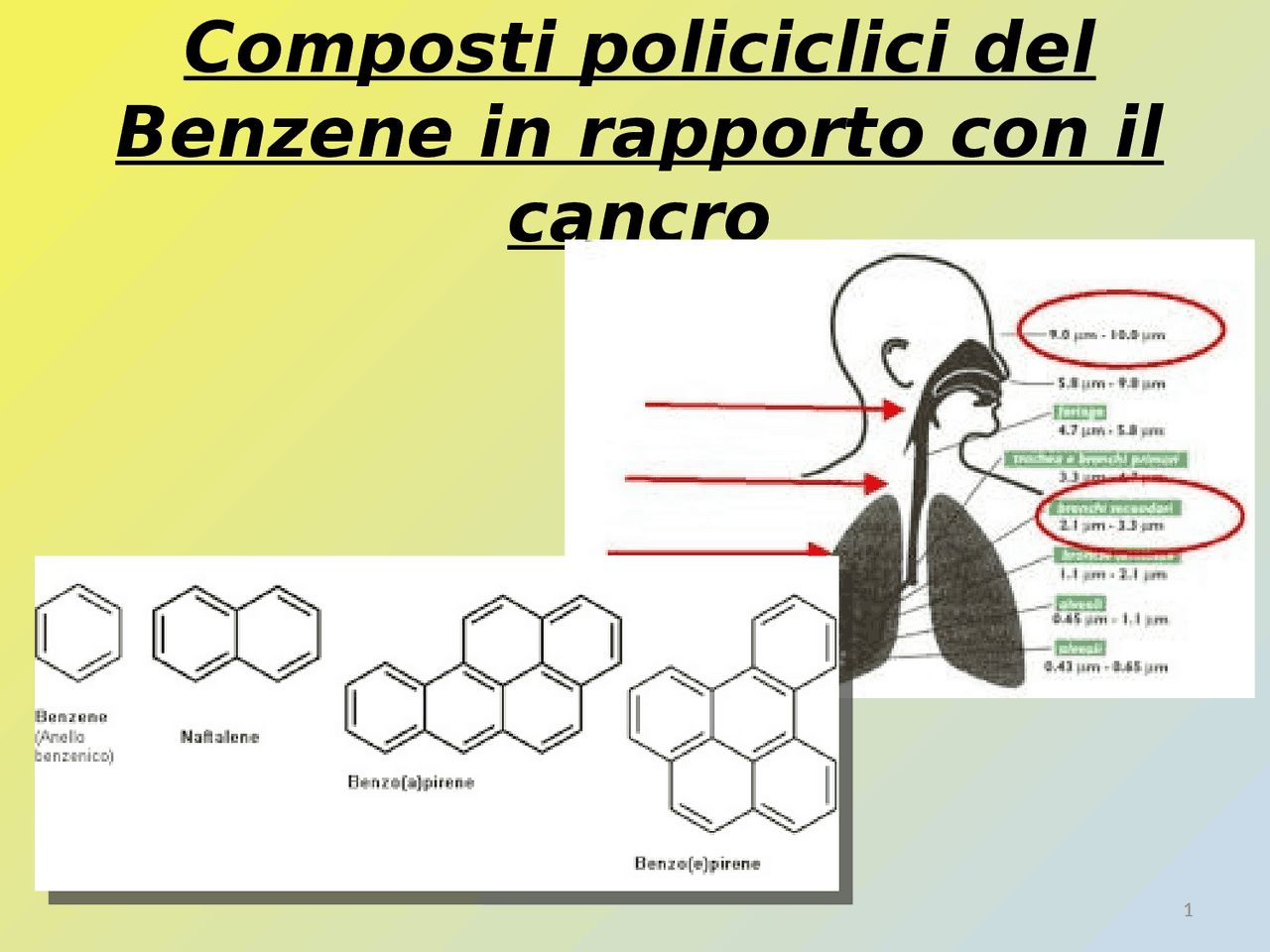 Composti policiclici del Benzene - Docsity
