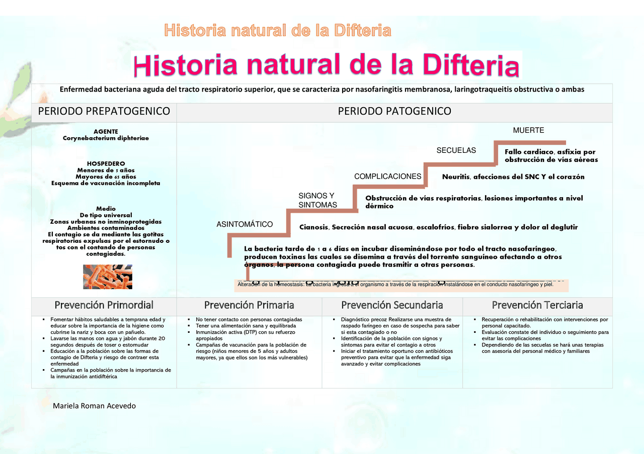 HISTORIA NDE DIFTERIA . | Esquemas y mapas conceptuales de Salud ...