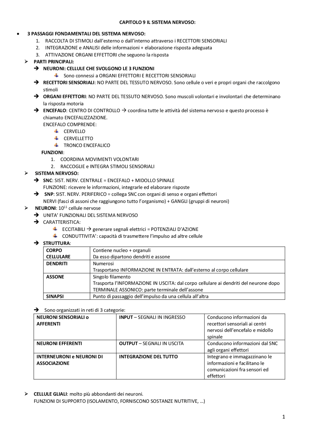 Sistema Nervoso Docsity