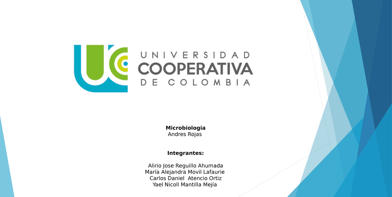 Parásitos Protozoarios Docsity