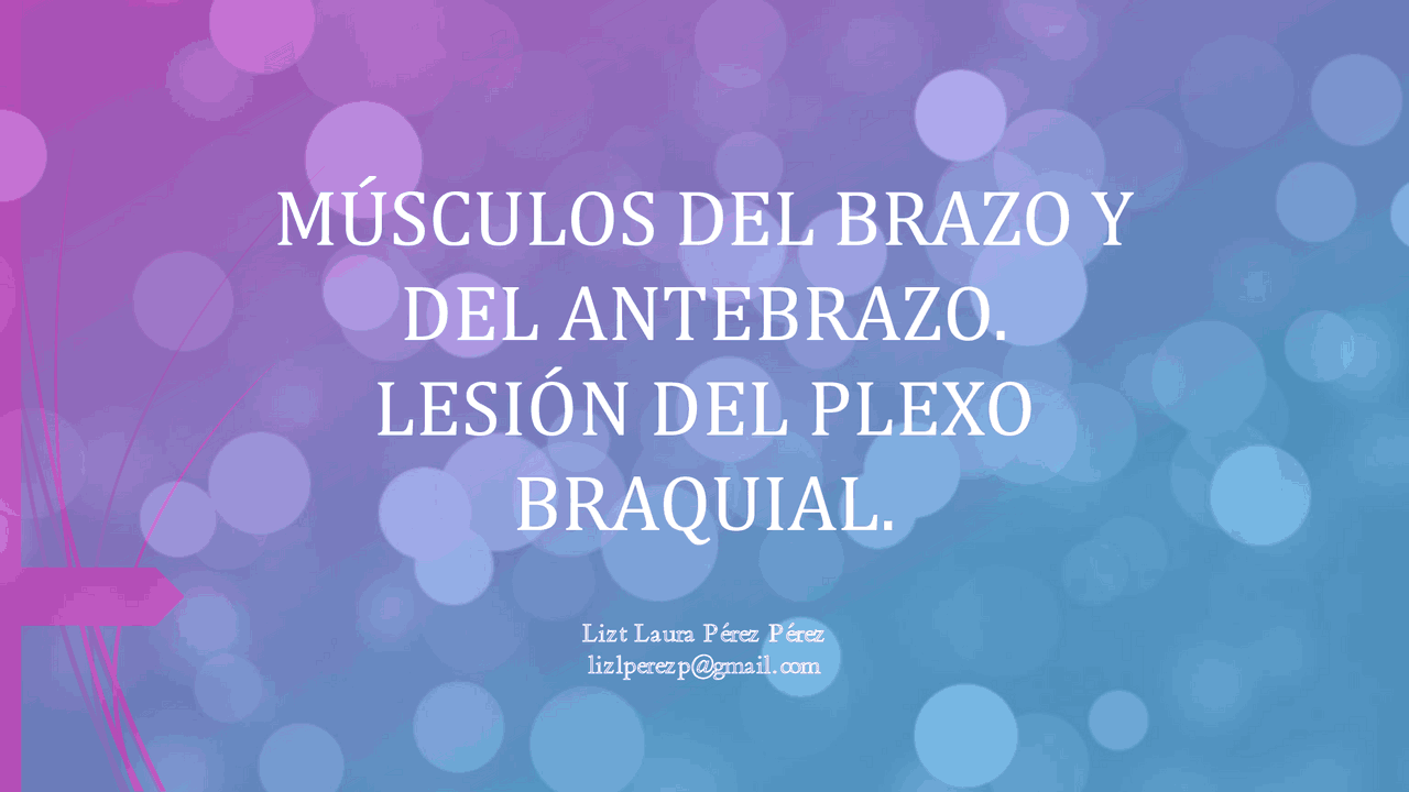 Músculos Del Brazo Y Antebrazo Docsity