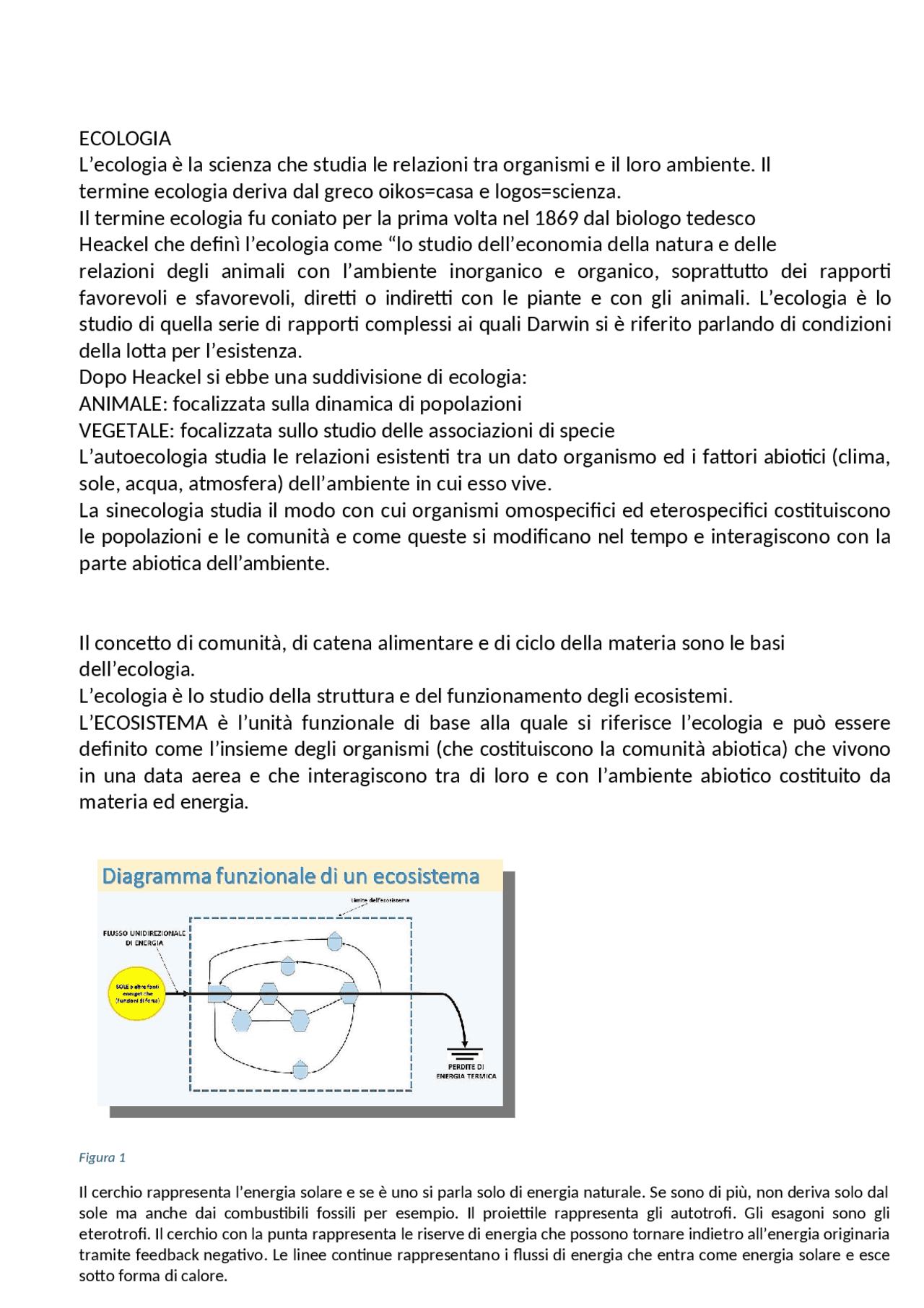 Riassunti Di Ecologia Docsity