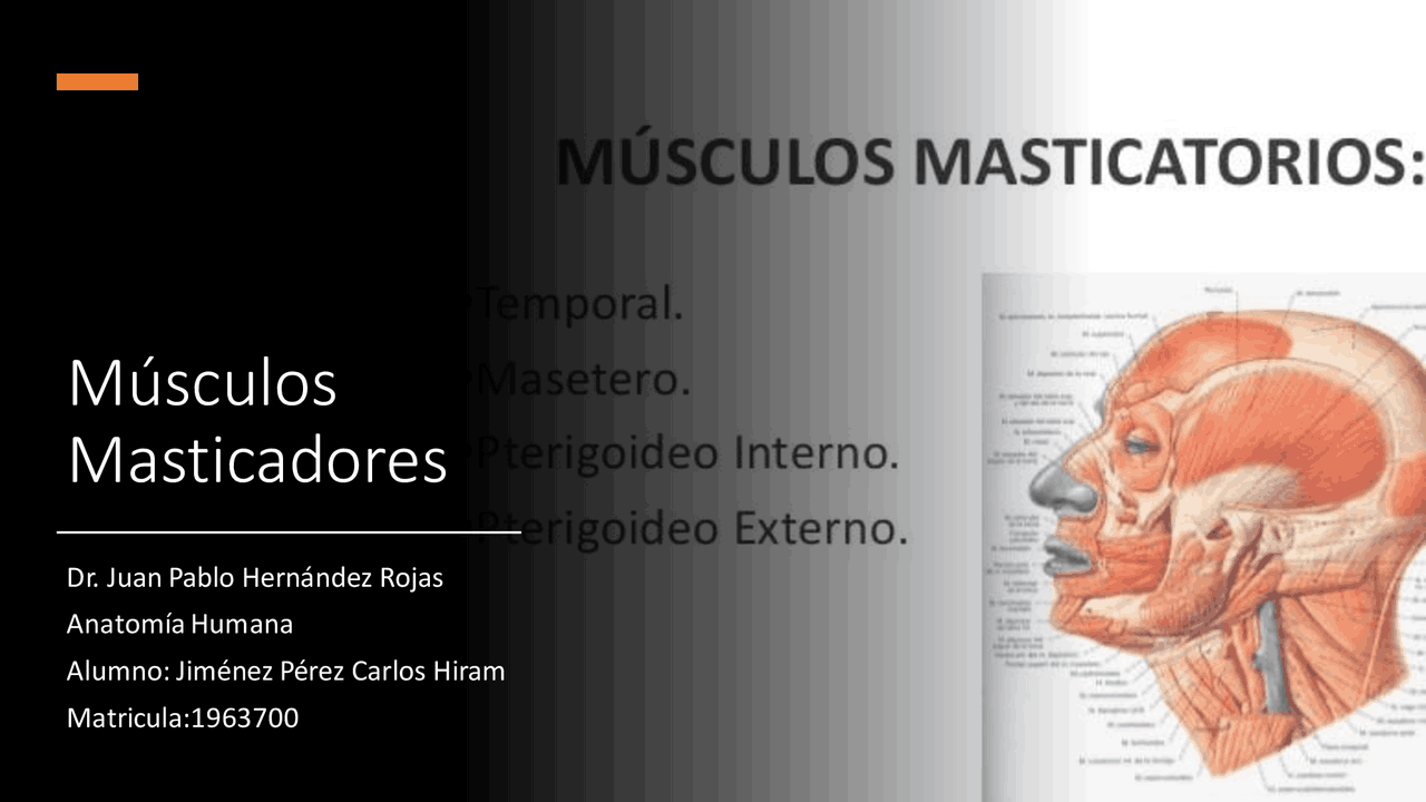 Musculos masticadores - Docsity