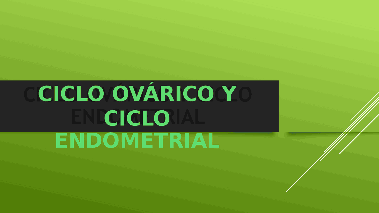 Ciclo OvÁrico Y Ciclo Endometrial Docsity