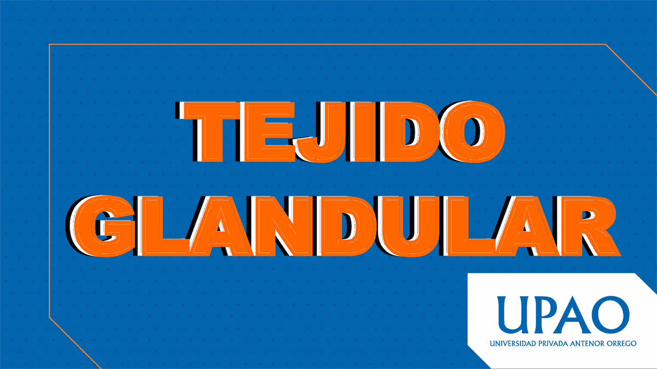 Tejido Glandular Ppts Semana 02 Docsity