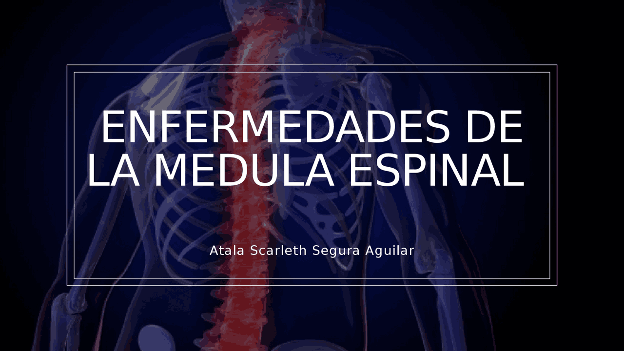 Medula Espinal Anatomia Funciones Docsity