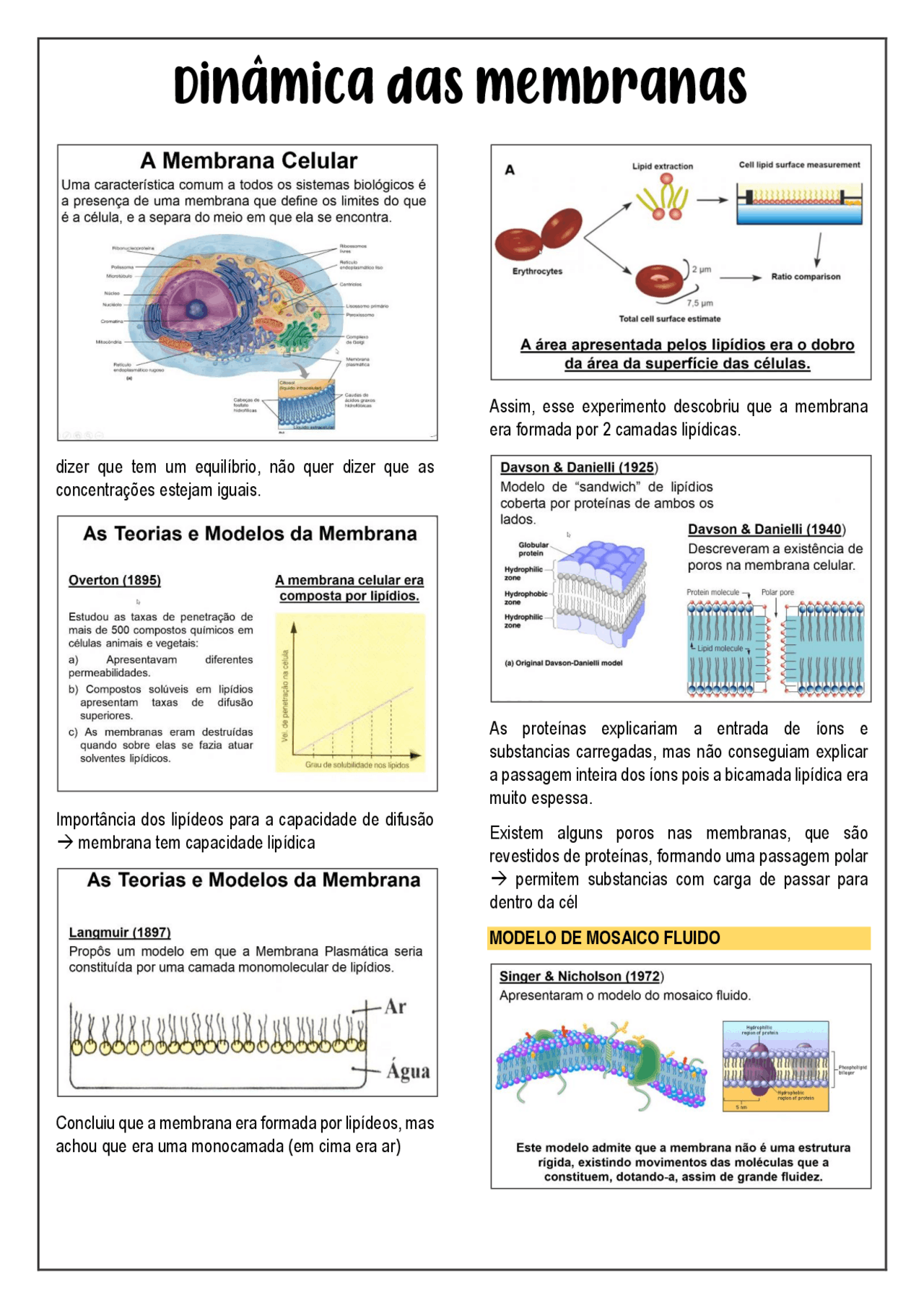 Resumos De Fisiologia Docsity