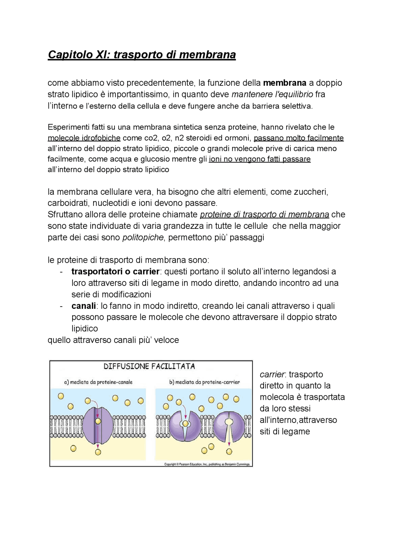 Trasporto Di Membrana Docsity