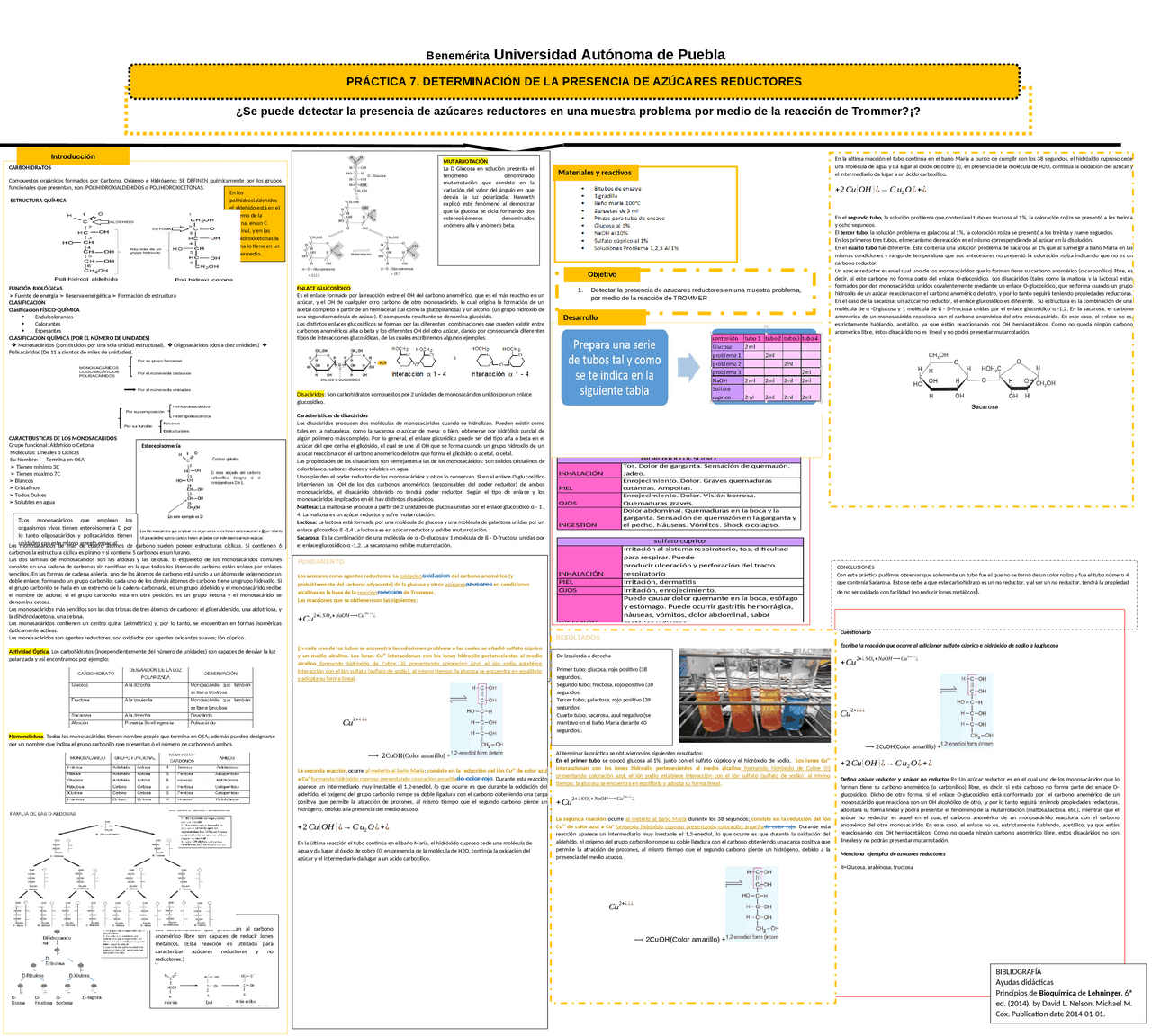 Carteles De Practicas De Bioquimica Lectures De Biochimie Docsity