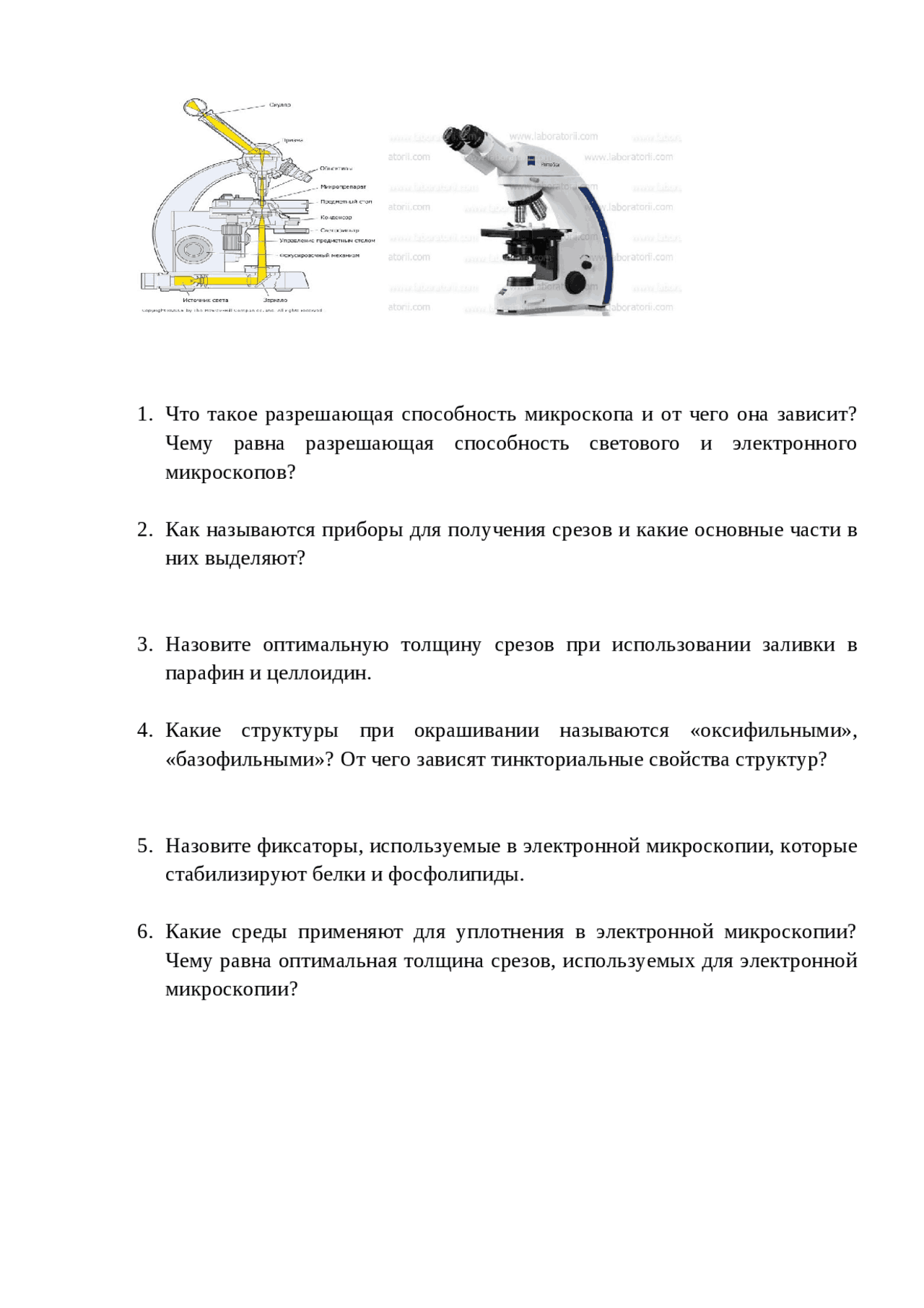 математика математика математика Docsity