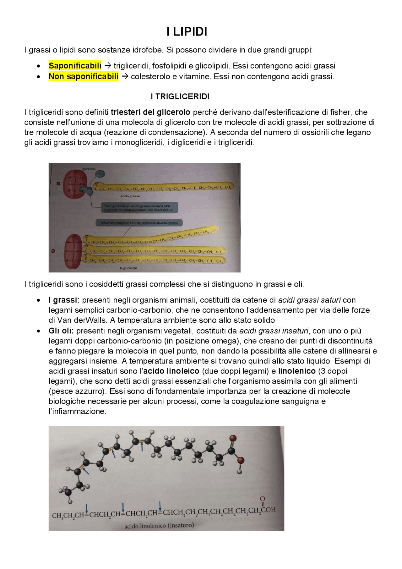 Appunti Approfonditi Sui Lipidi E Principali Caratteristiche Docsity