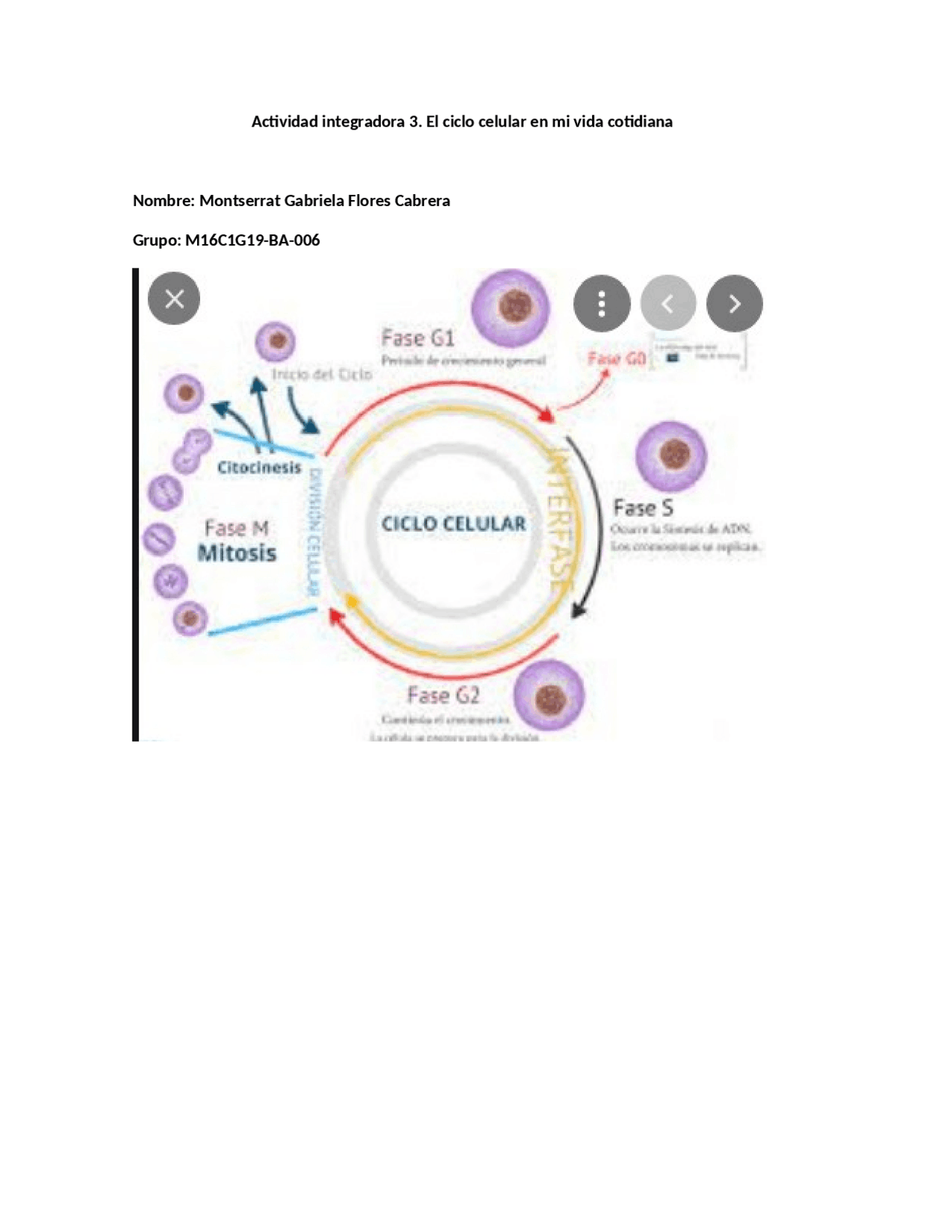 Modulo 16 de prepa en linea sep | Ejercicios de Matemáticas - Docsity