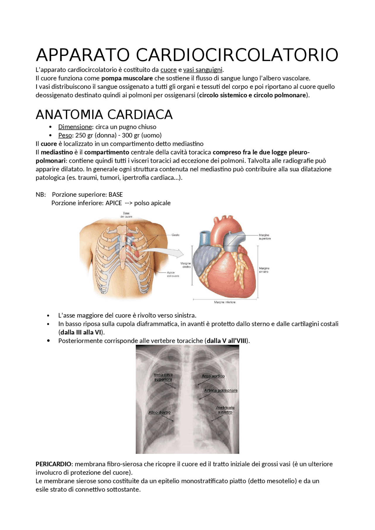 Sistema Cardiocircolatorio Docsity