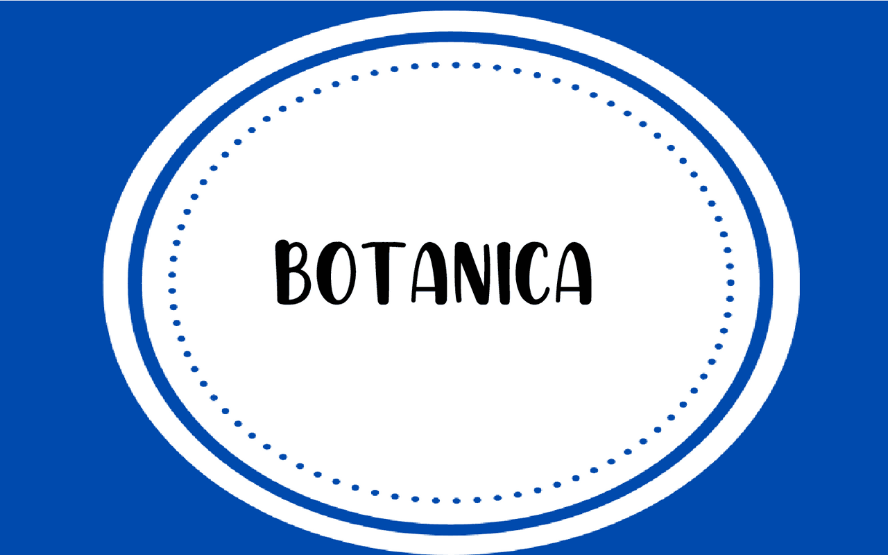 Botánica: Germinación epigea e hipogea | Diapositivas de Biología | Docsity