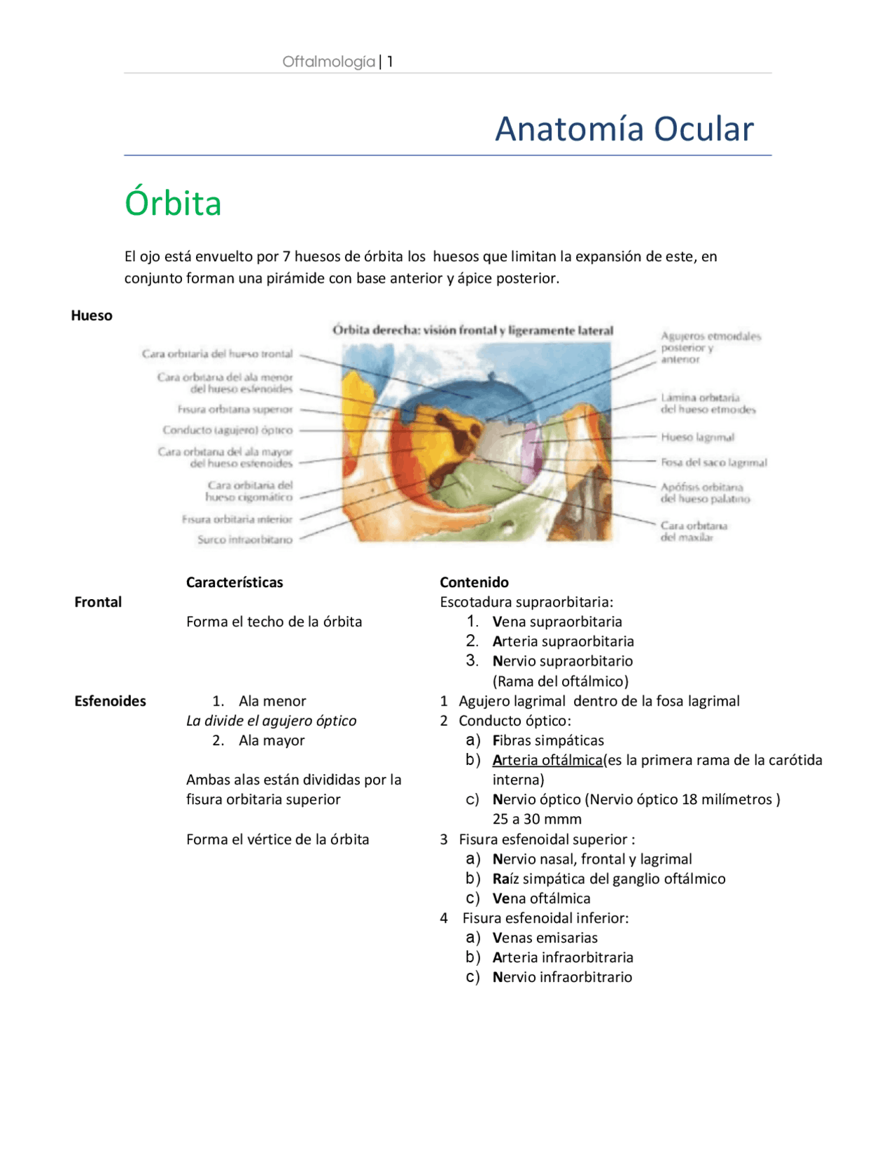Resumen De Oftalmologia Para Pregrado Docsity