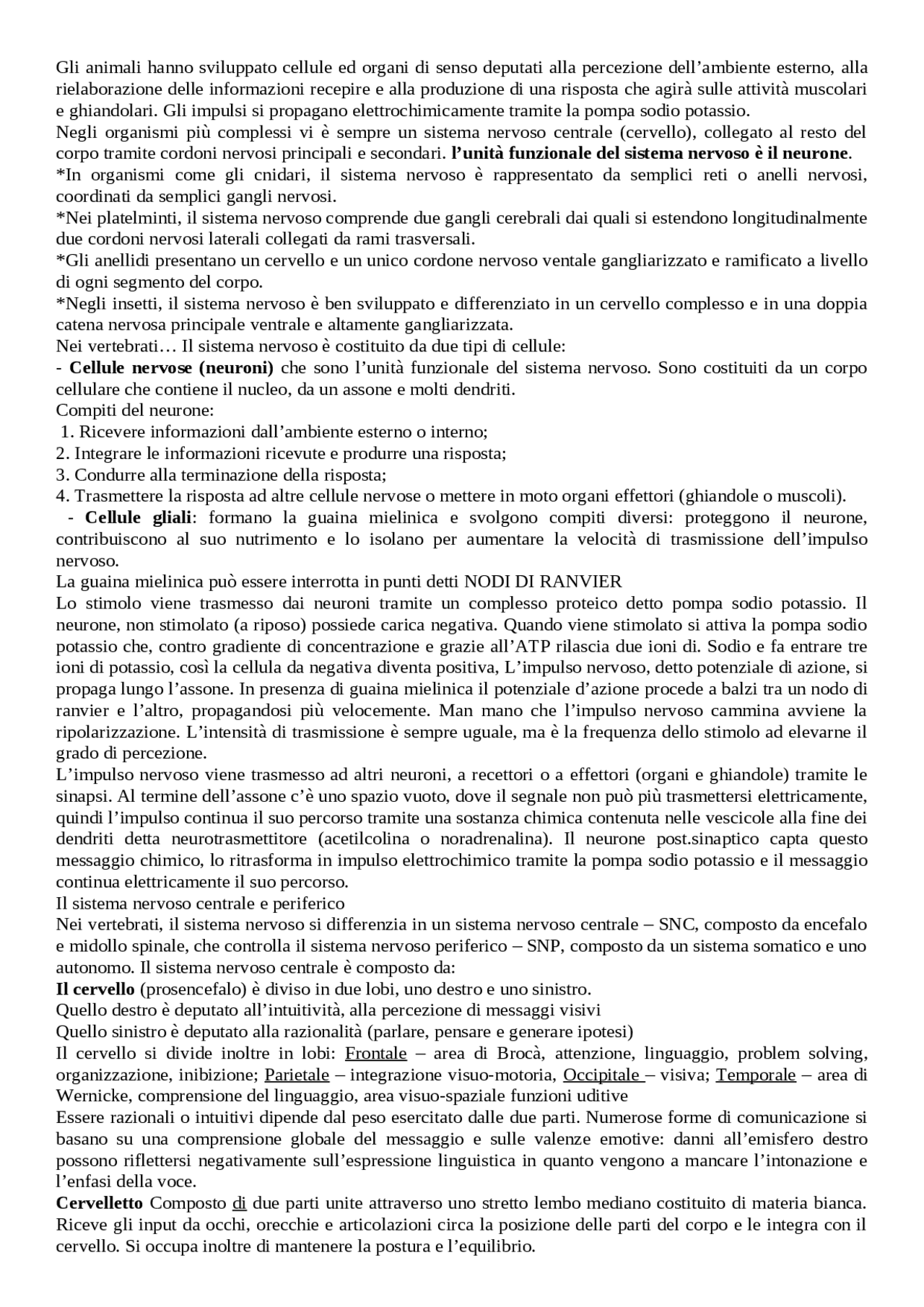 Il Sistema Nervoso Riassunto Résumés De Biologie Docsity
