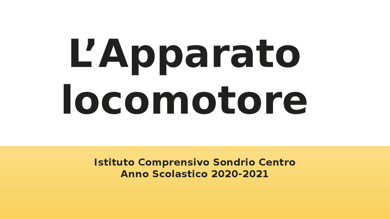 Apparato Locomotore Docsity