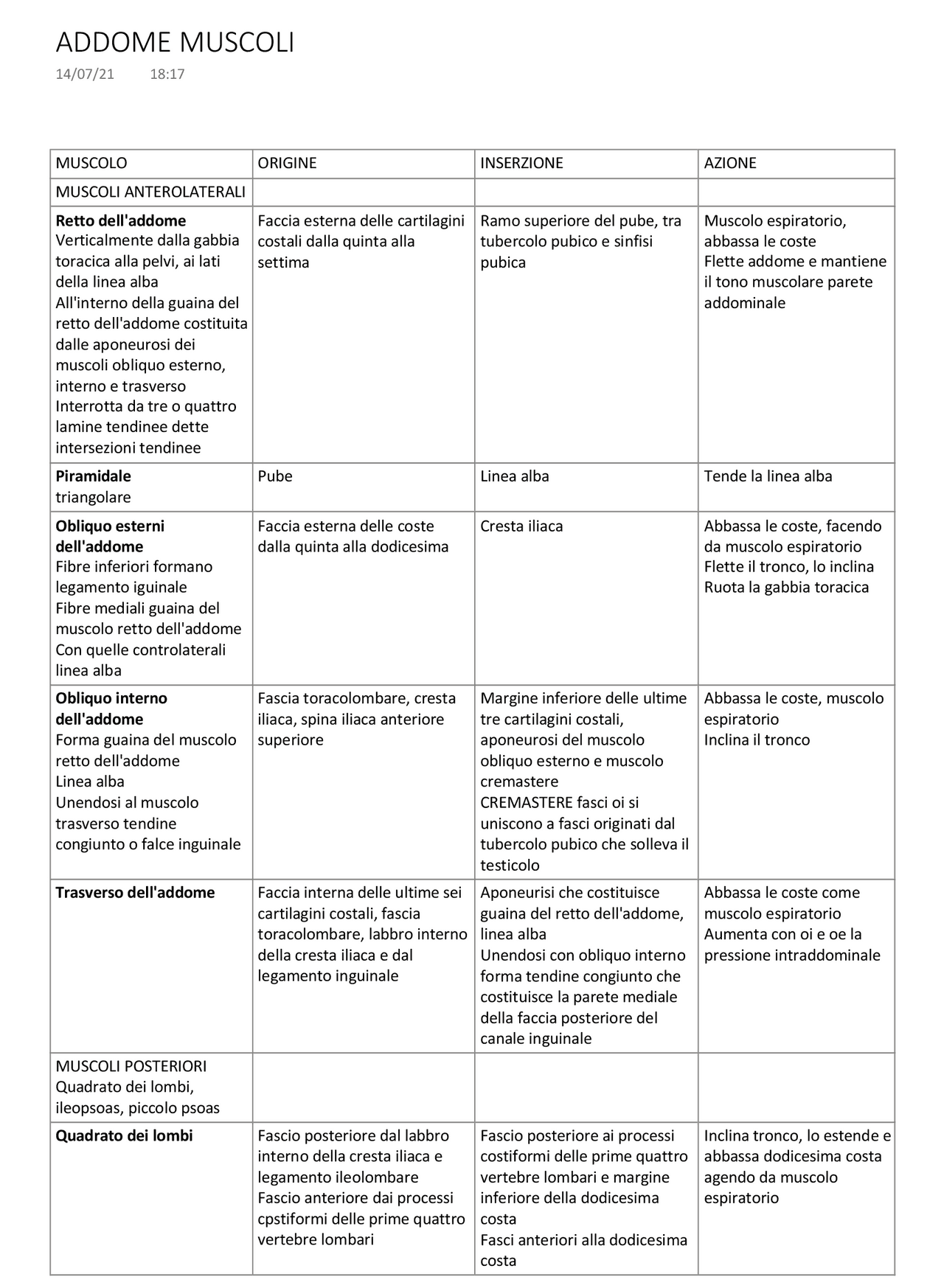 ANATOMIA- MUSCOLI DELL'ADDOME - Docsity