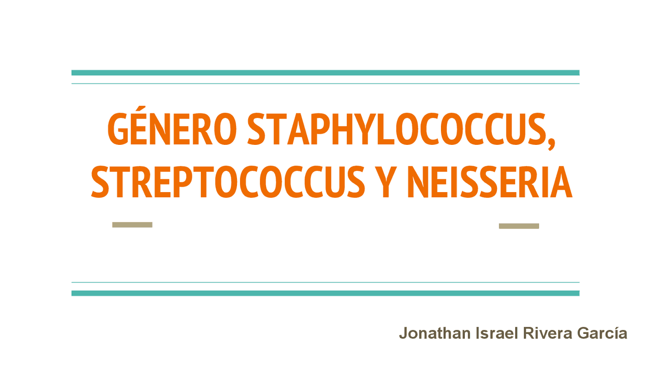 GÉnero Staphylococcus Streptococcus Y Neisseria Diapositivas De