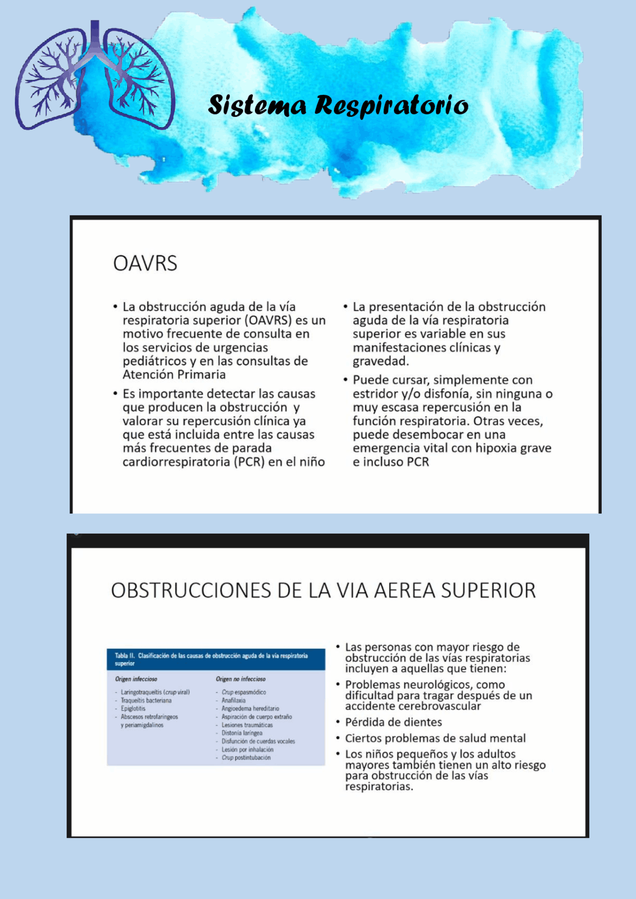Sistema Respiratorio Docsity