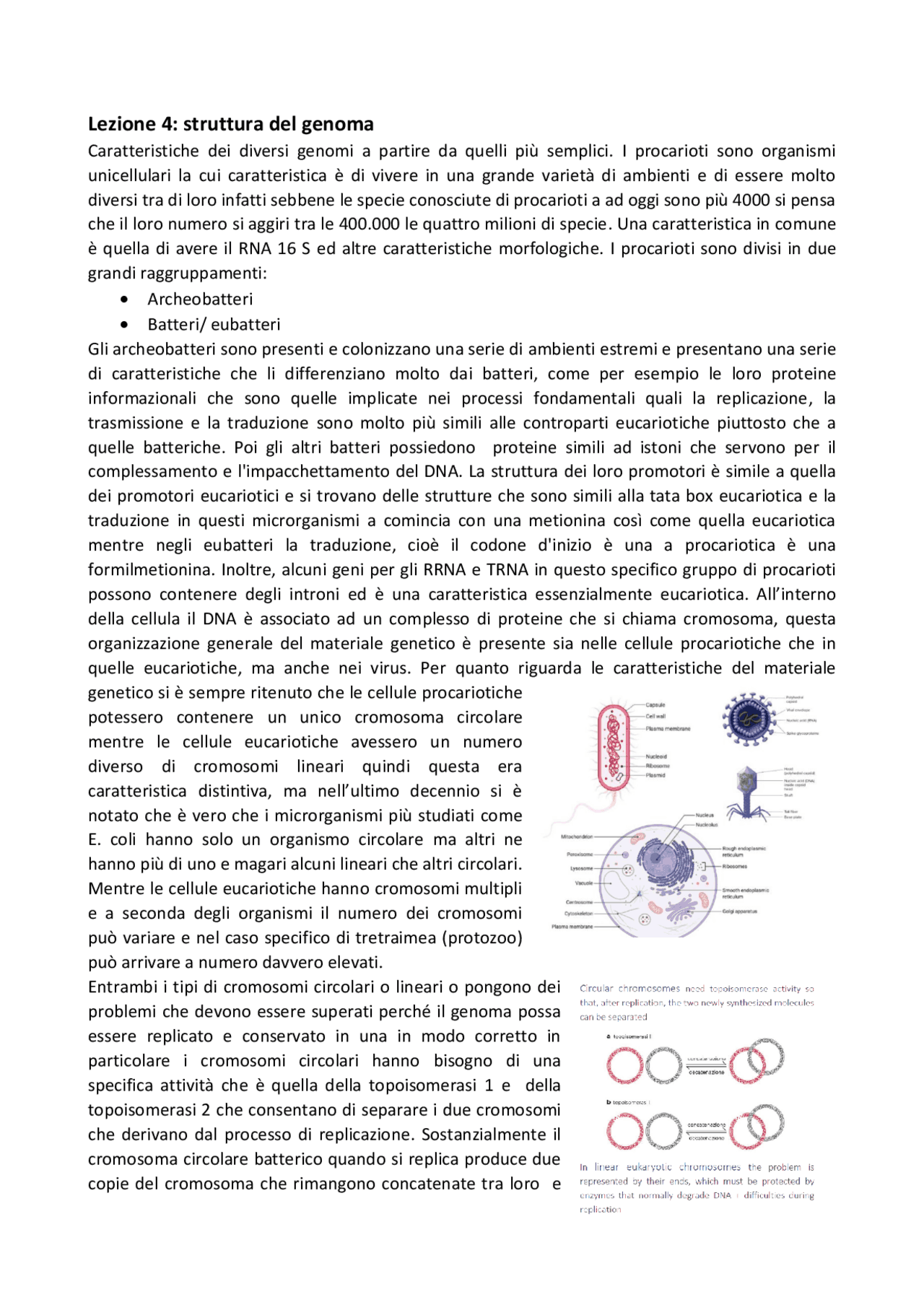 Biologia Molecolare Lezione 4 Docsity