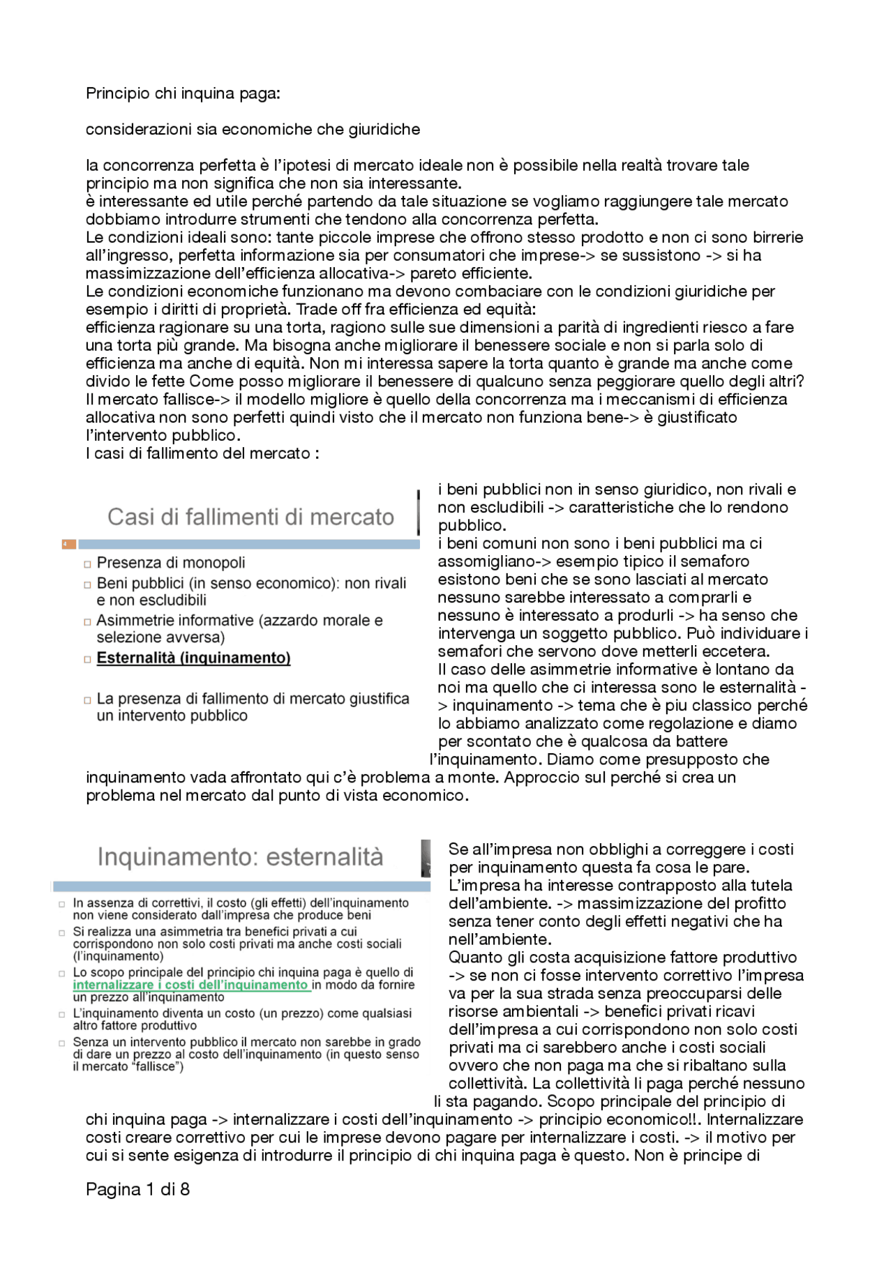 Riassunto del principio di chi inquina paga - Docsity