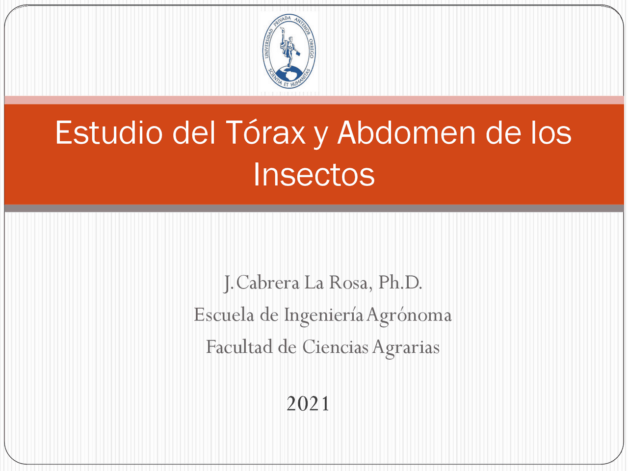 TORAX DE LOS INSECTOS ARTROPODOS | Resumos de Biologia | Docsity