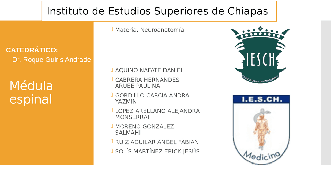 Diapositivas De Medula Espinal Docsity