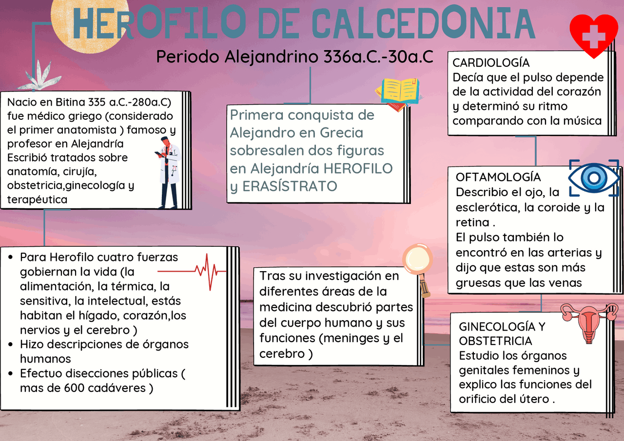 Organizador grafico del tema Herofilo de Calcedonia - Docsity
