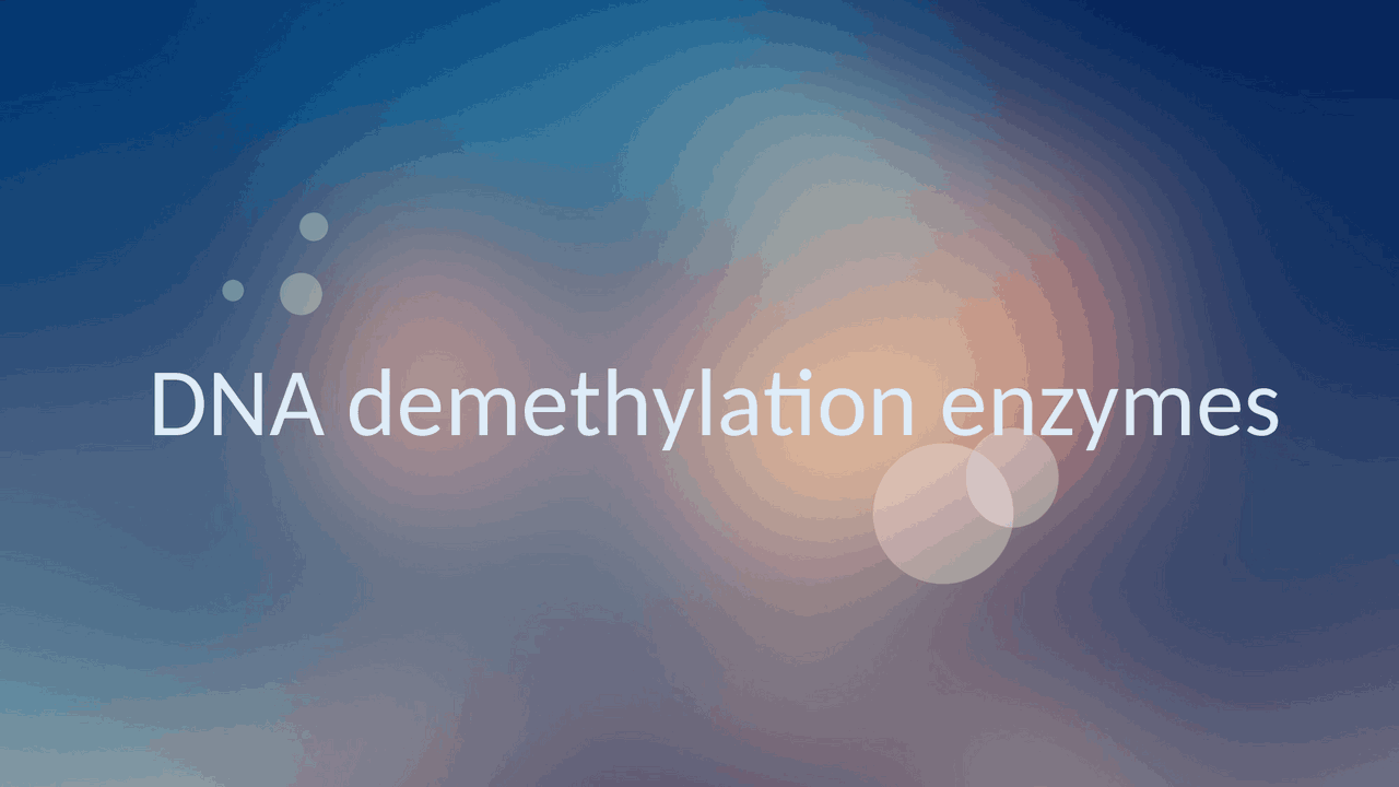 DNA demethylation enzymes - Docsity