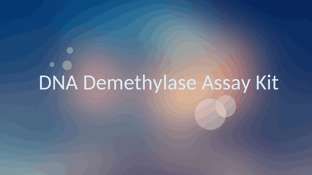 DNA Demethylase Assay Kit - Docsity