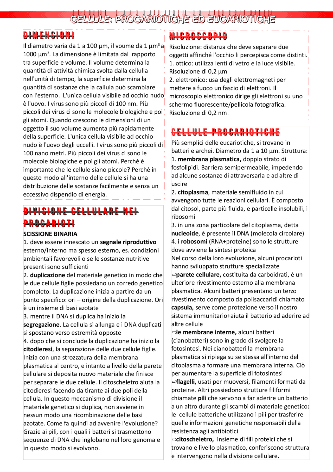 Cellule Procariotiche Ed Eucariotiche Liceo Scientifico Docsity