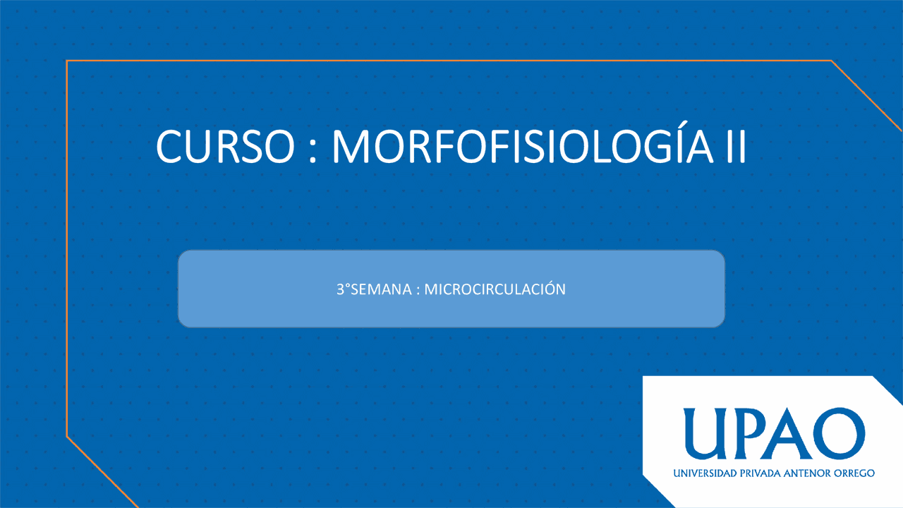 LÁminas HistolÓgicas Docsity