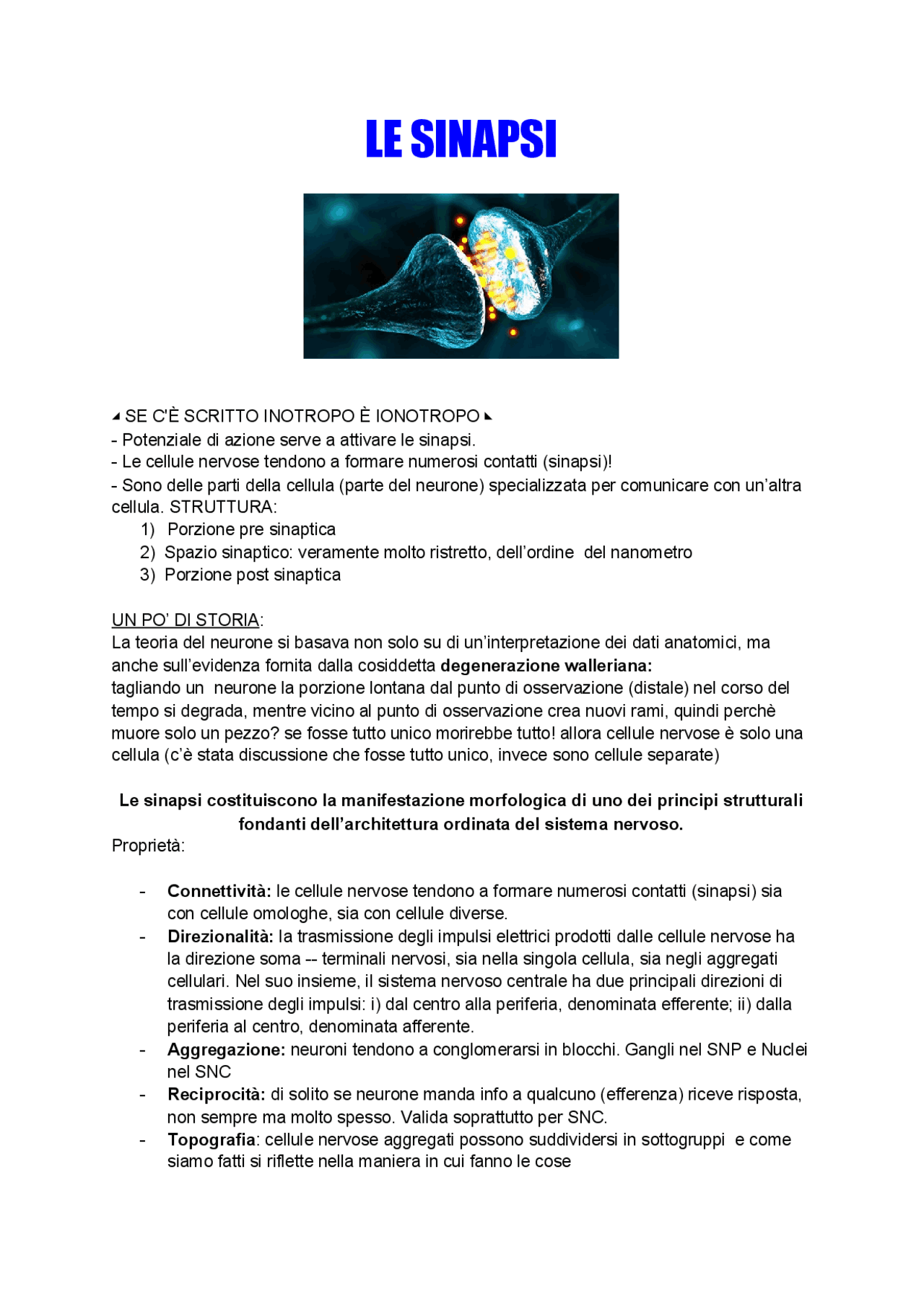 Appunti Fisiologia Le Sinapsi Docsity