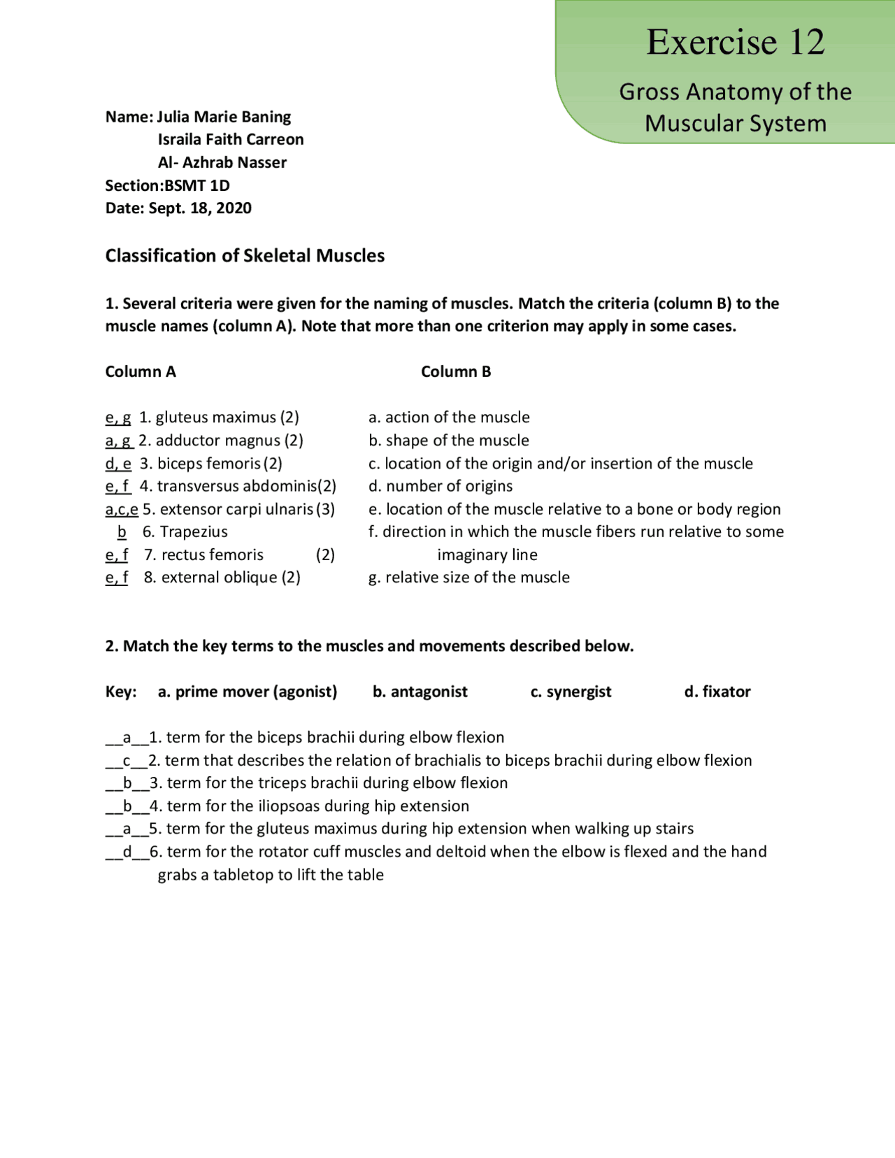 Anatomy And Physiology Docsity