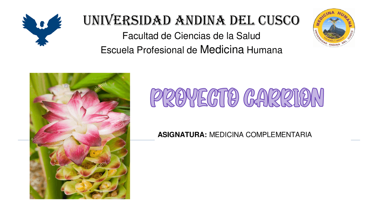 PROYECTO CARRION - medicina complementaria - Docsity