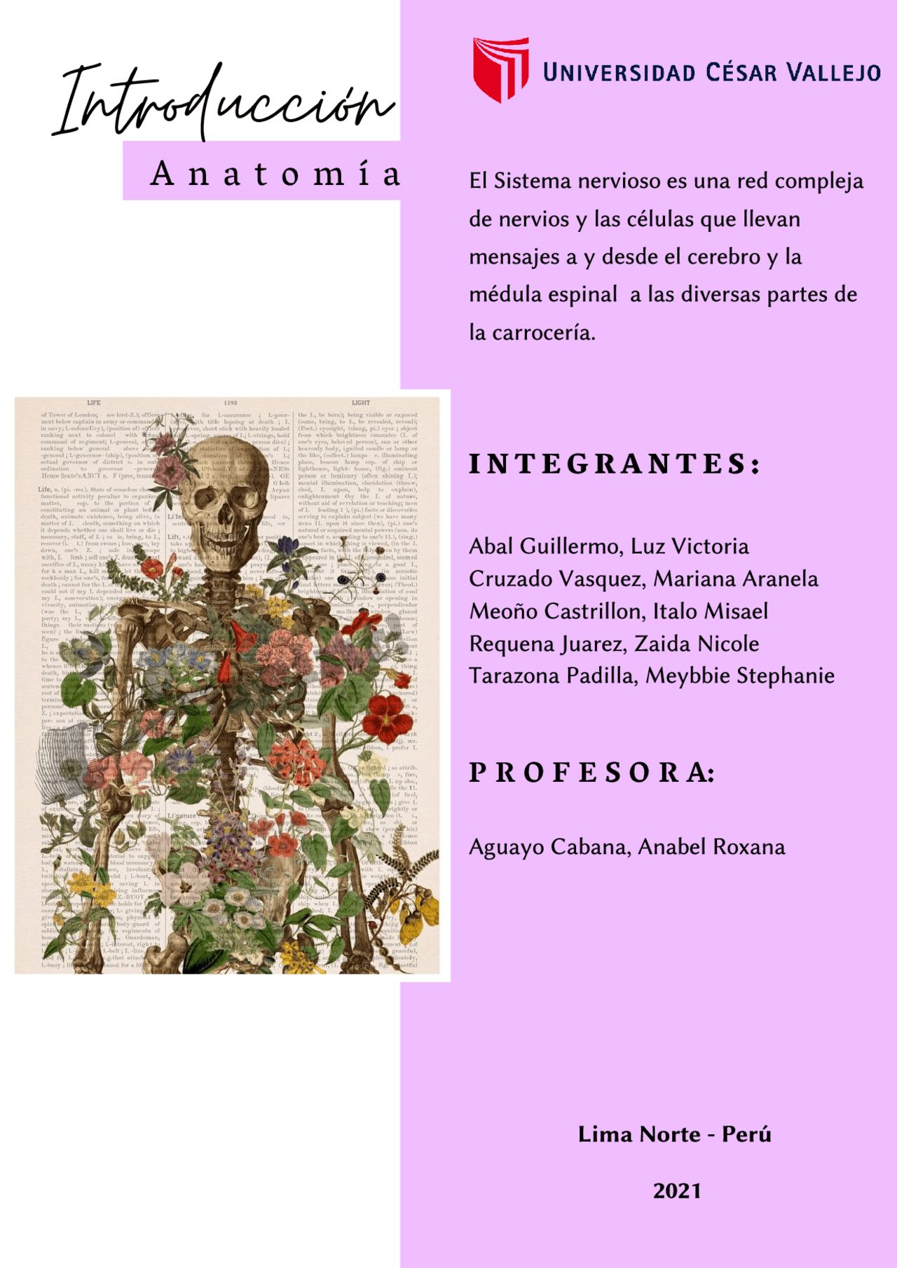 IntroducciÓn AnatomÍa Docsity