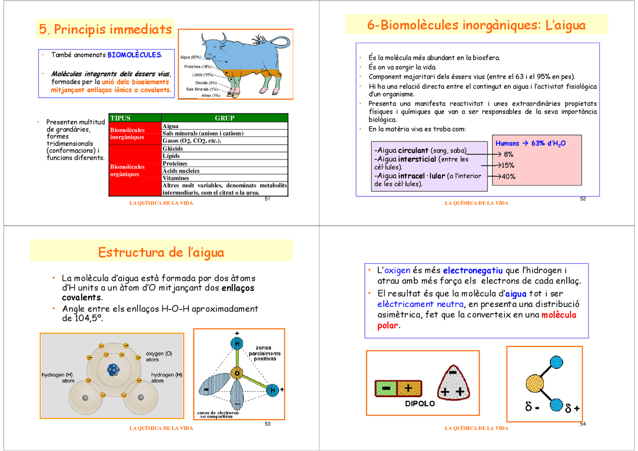 Biologia Tema 1r De Batxillerat Científic Docsity