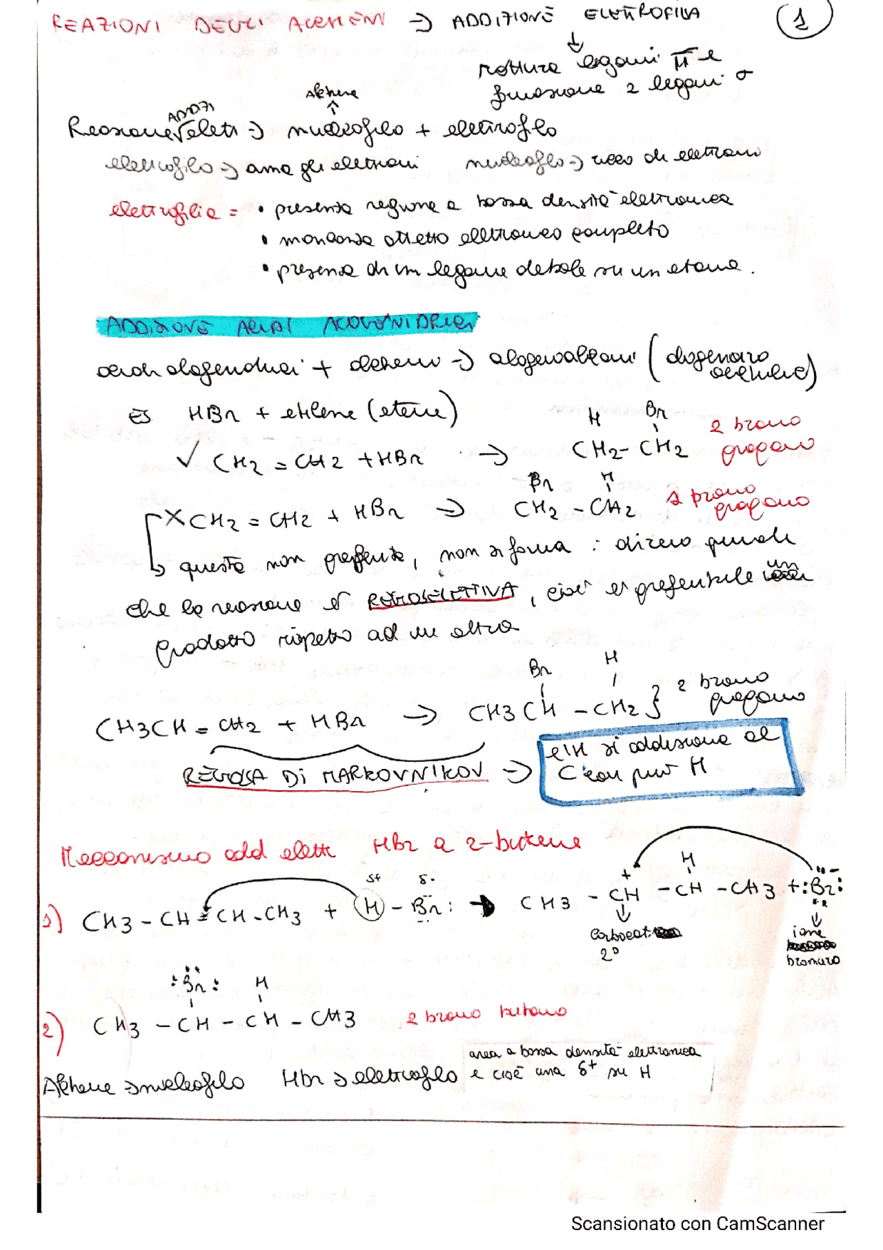 Tipi Di Reazioni Degli Alcheni Docsity